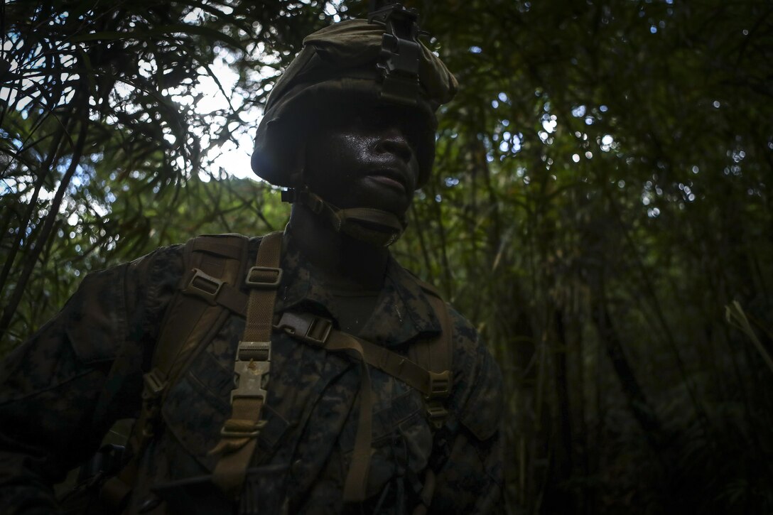 Aries Company - Jungle Warfare Training Center