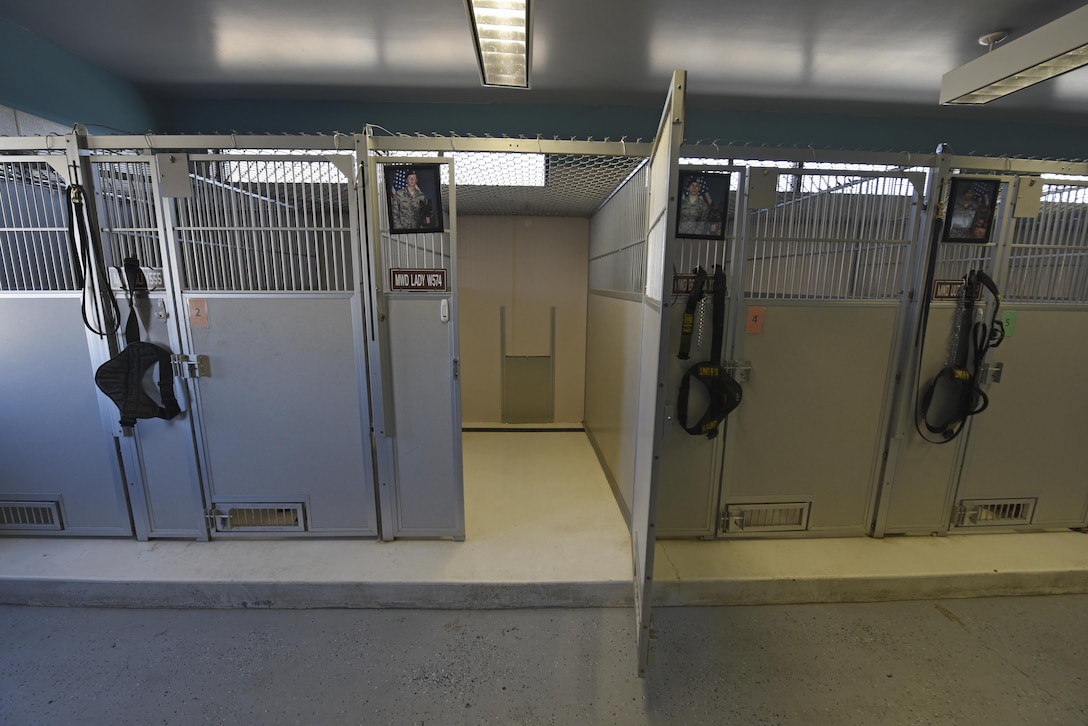 MWD kennel construction begins