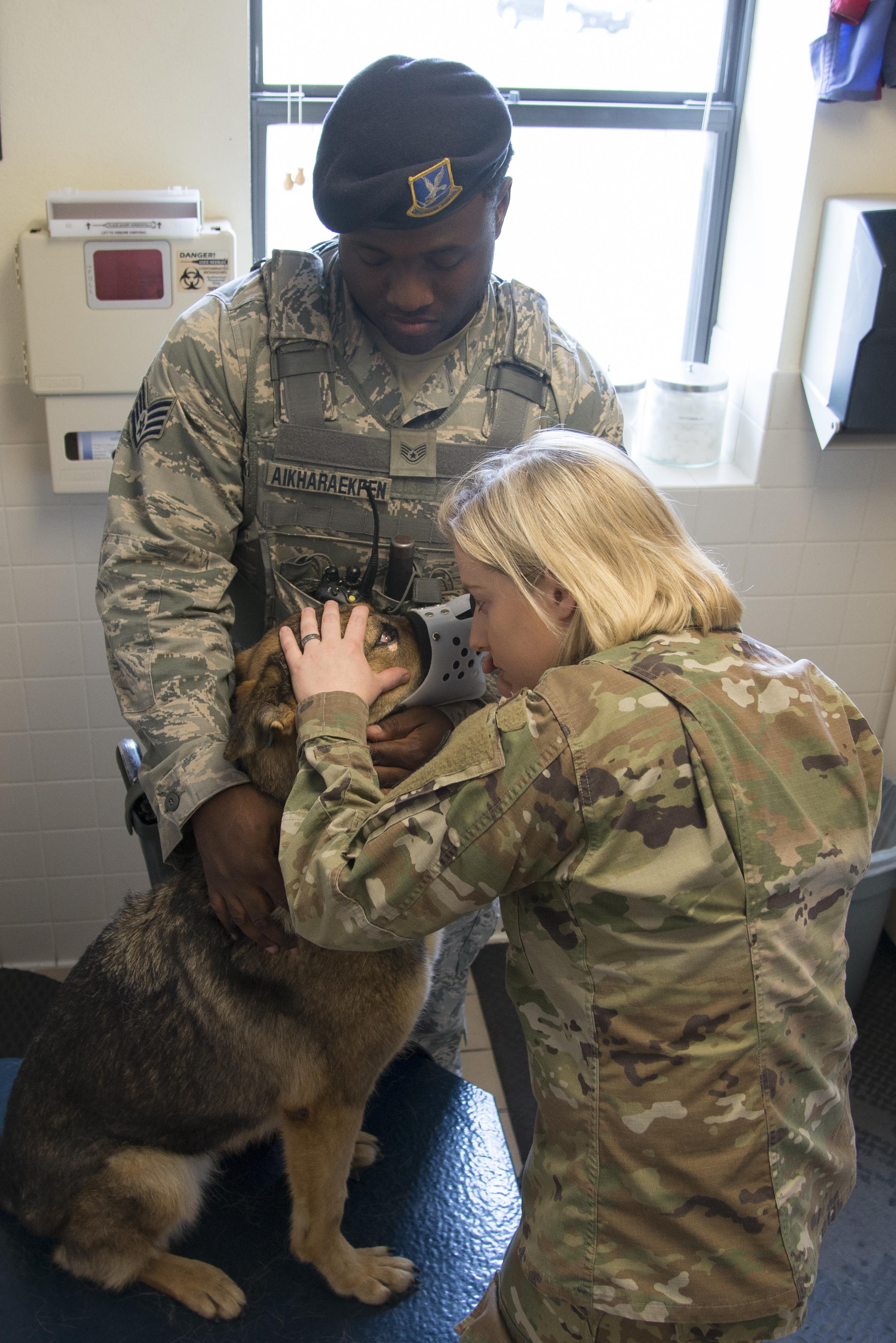 Vet Front and Center