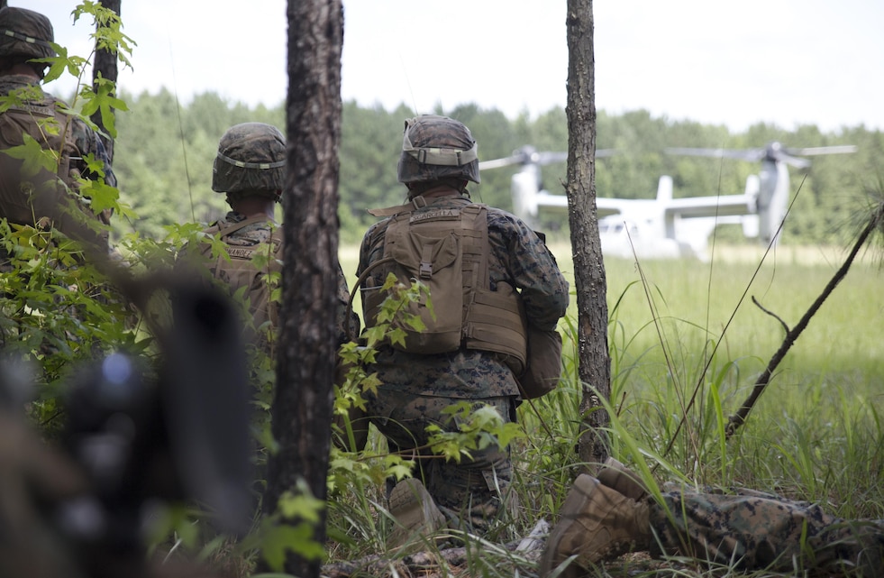 2/2 Fox Company conducts TRAP > 2nd Marine Division > Article