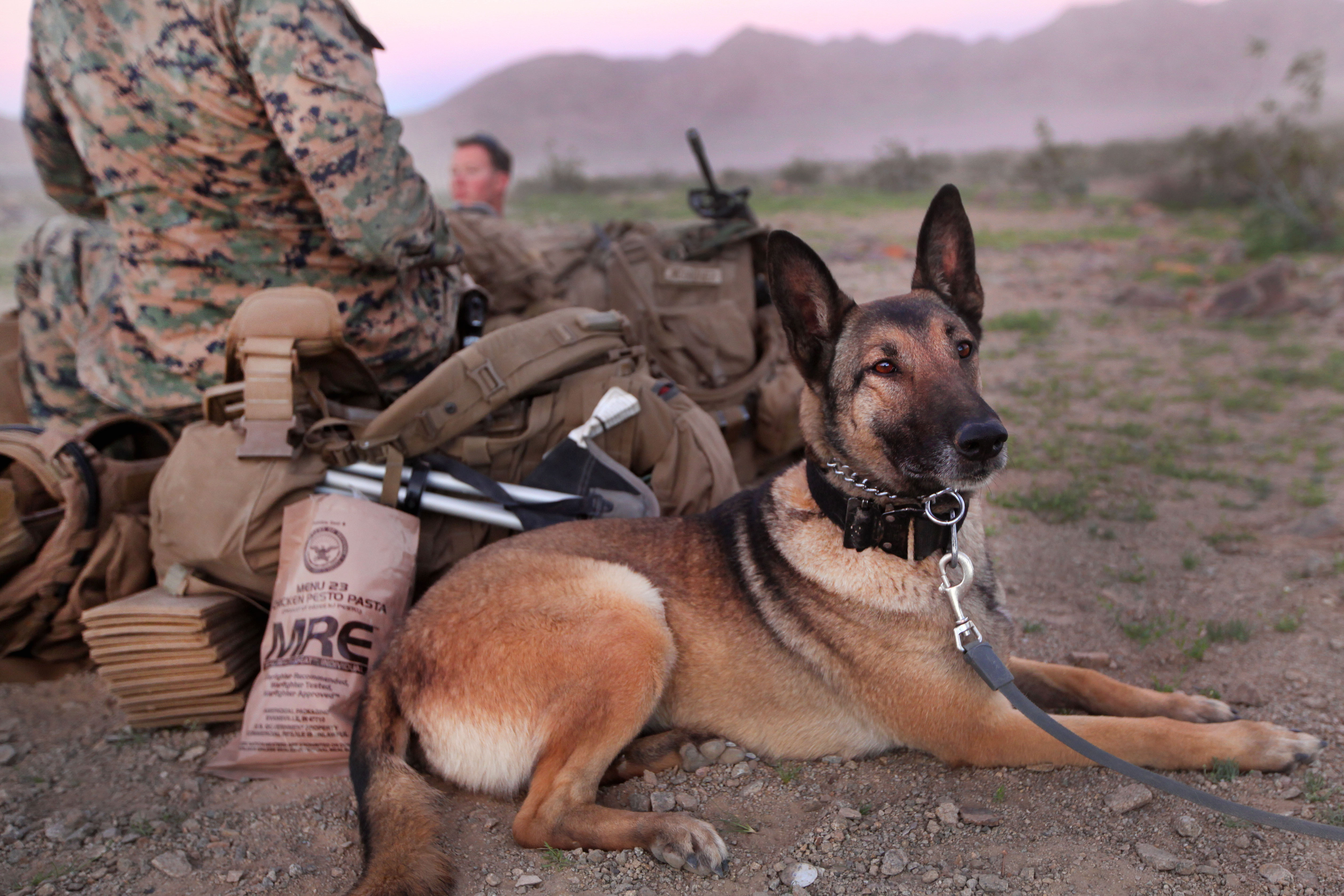 Linda's Long Day | U.S. Department of War