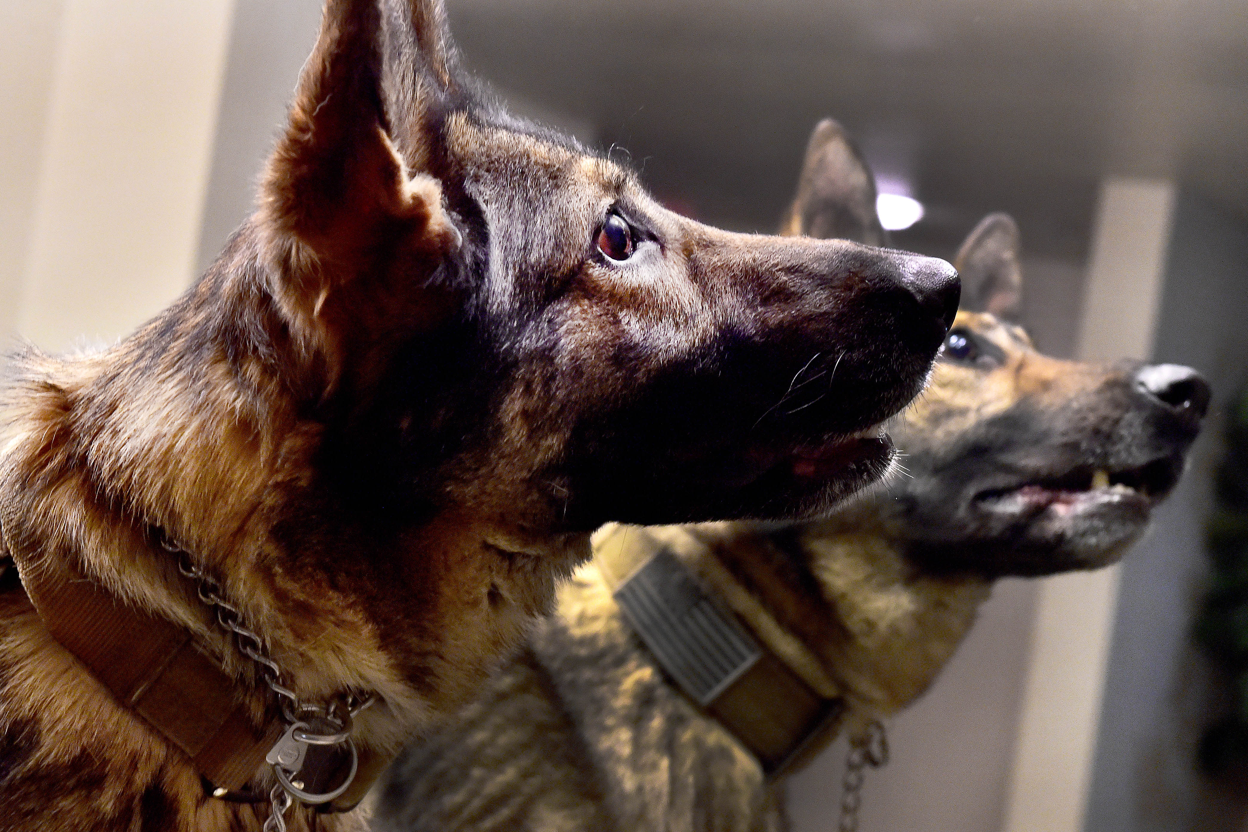 Double Trouble | U.S. Department of War