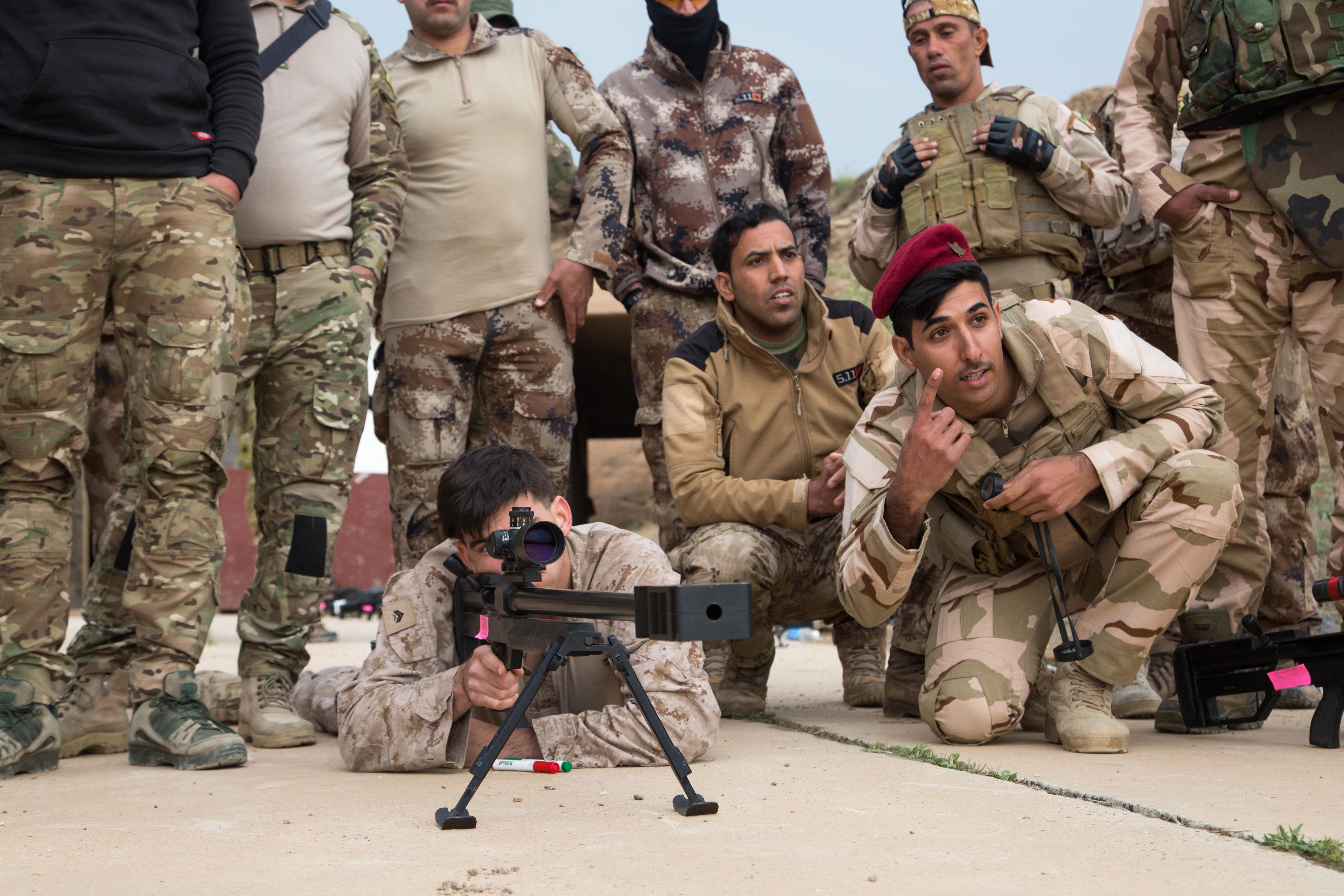 ISF weapons and observer training