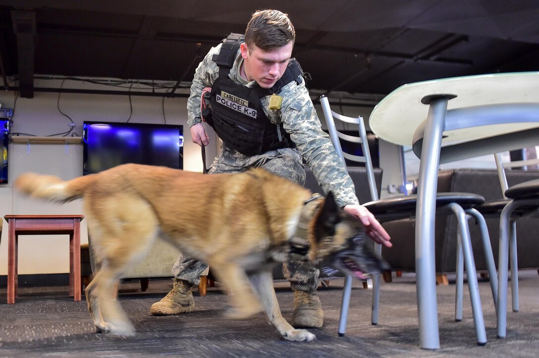 JBER Military Working Dog Training