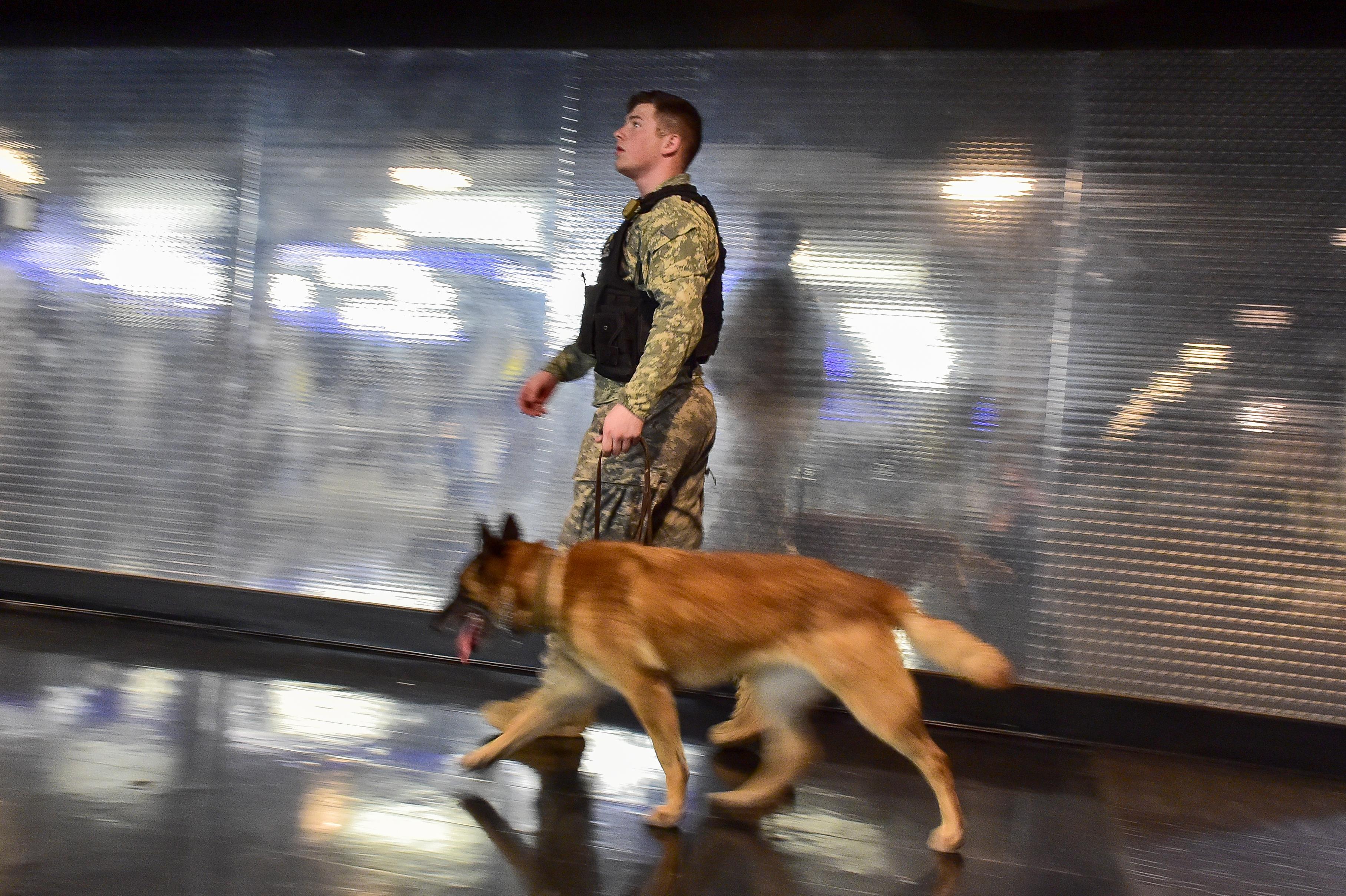 JBER Military Working Dog Training