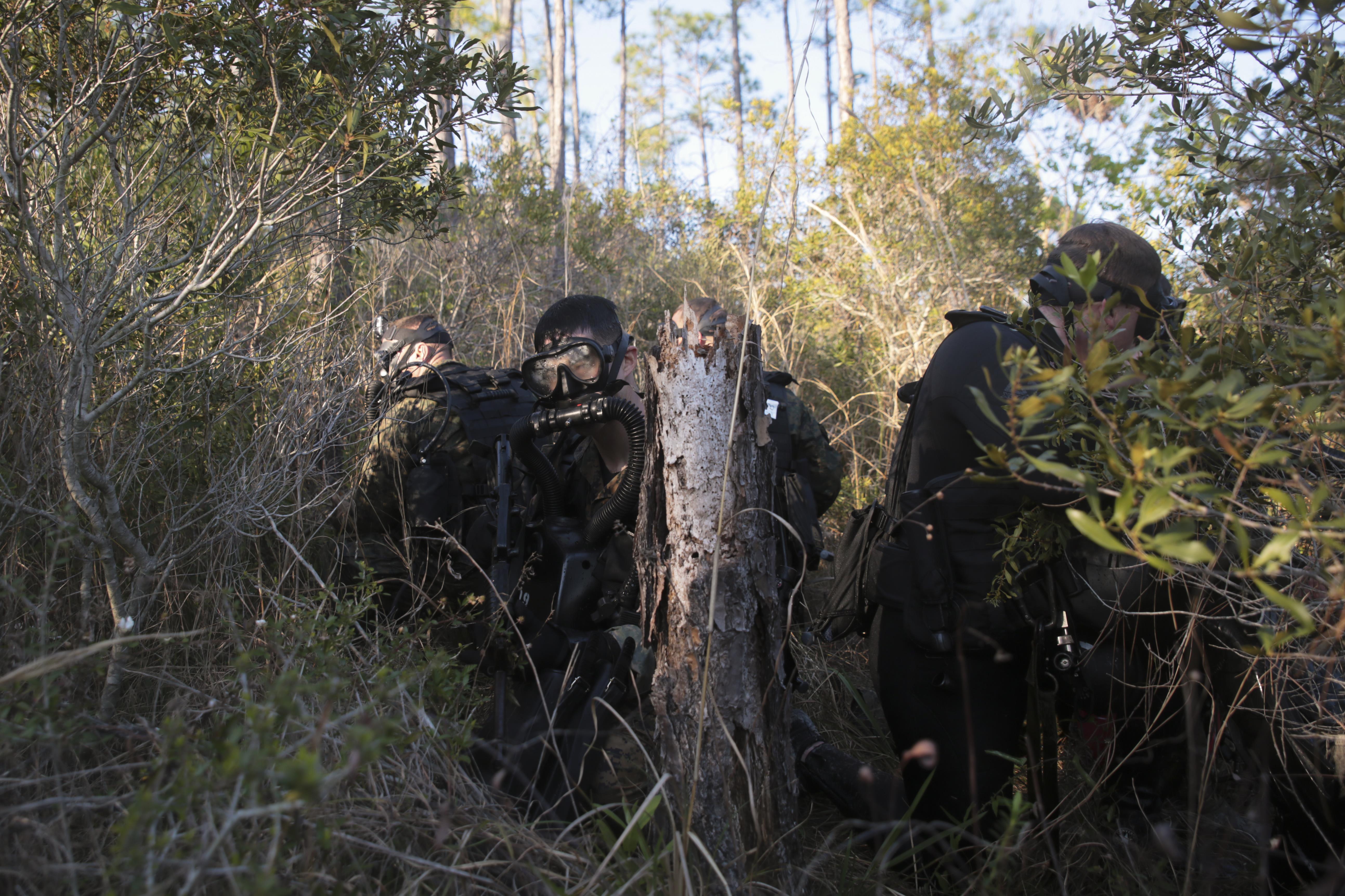 3rd Force Reconnaissance Co. Execute Dive Operations Training