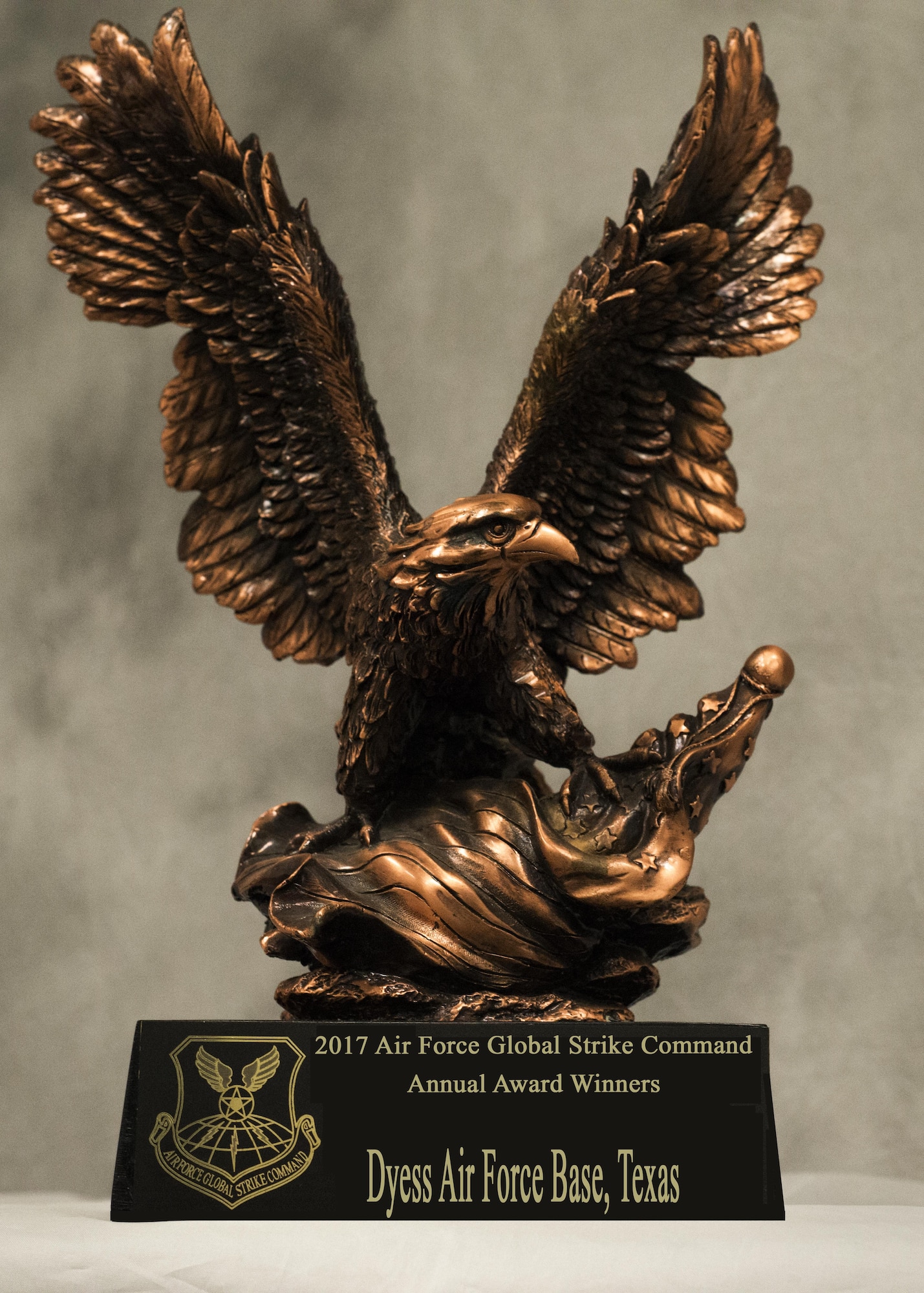 Dyess Airmen win Air Force Global Strike Command level awards > Dyess ...