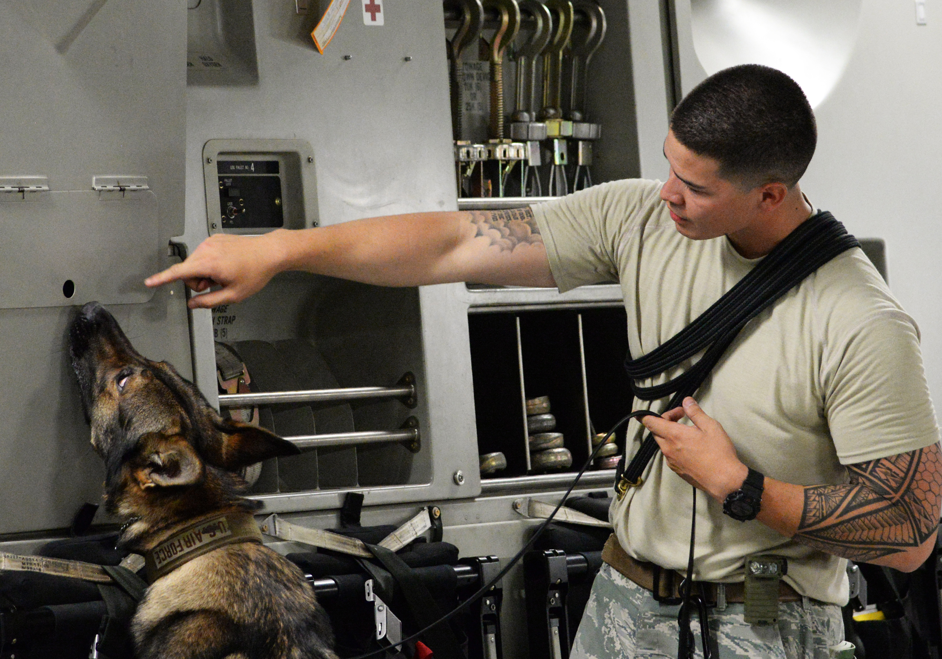 K-9 detection exercise > U.S. Air Forces Central > Article Display