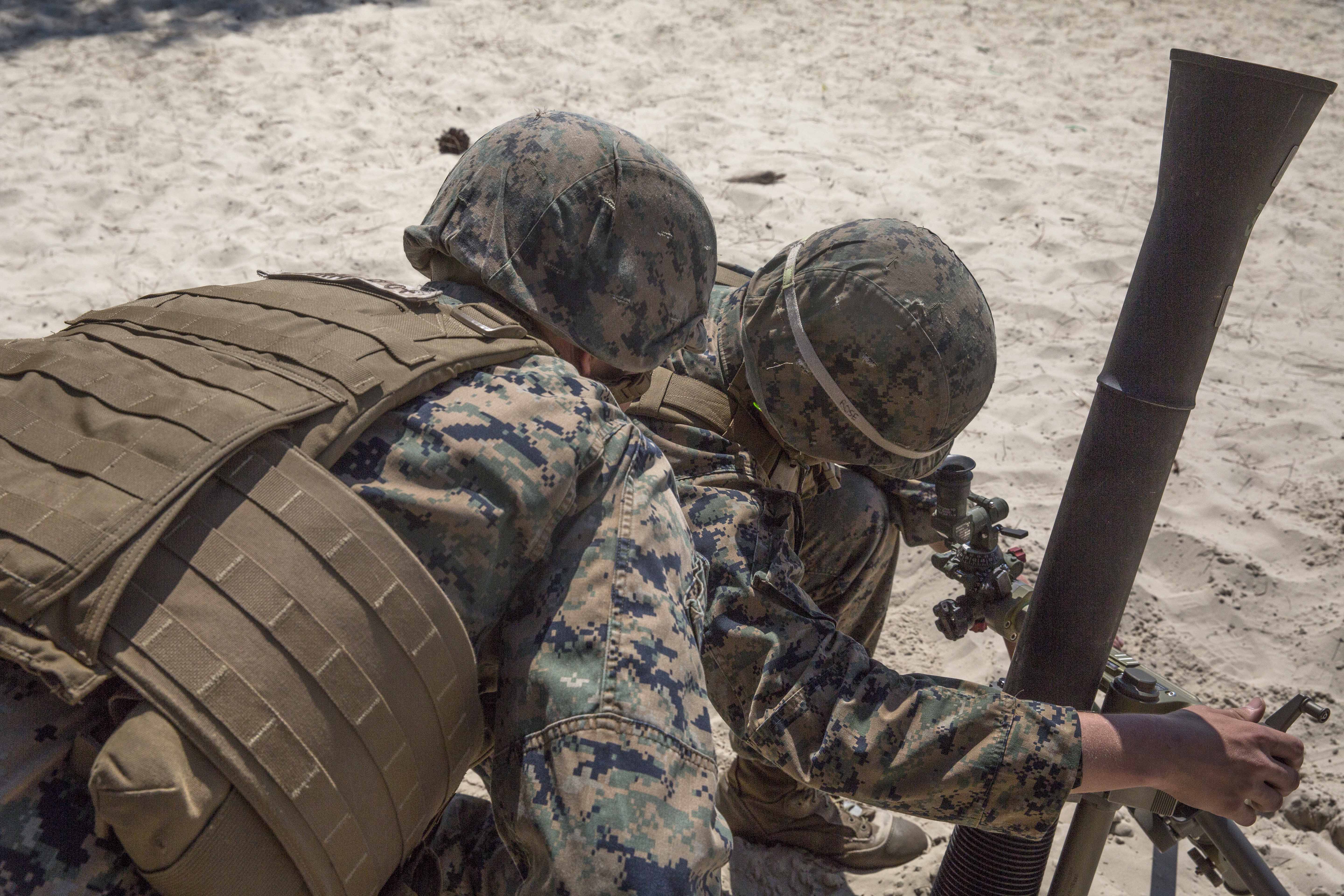 U.S. DEPARTMENT OF DEFENSE > Photos > Photo Gallery