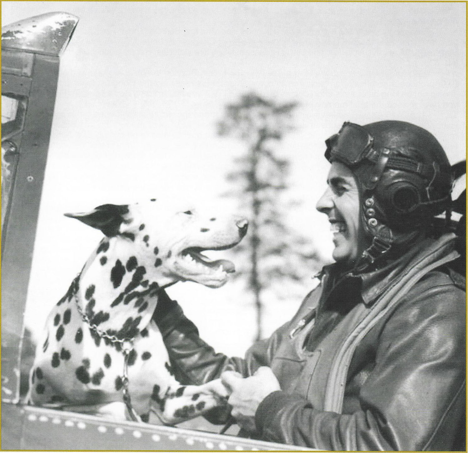 Honoring a “Rat Racer’s” legacy > Mountain Home Air Force Base > News ...