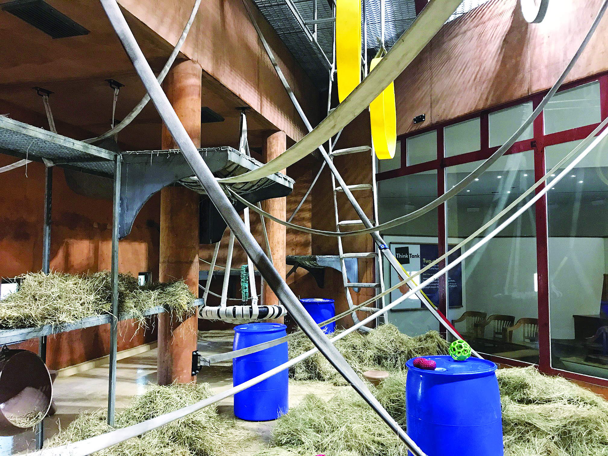 Quantico Fire and Emergency Services put old hoses to work in community ...