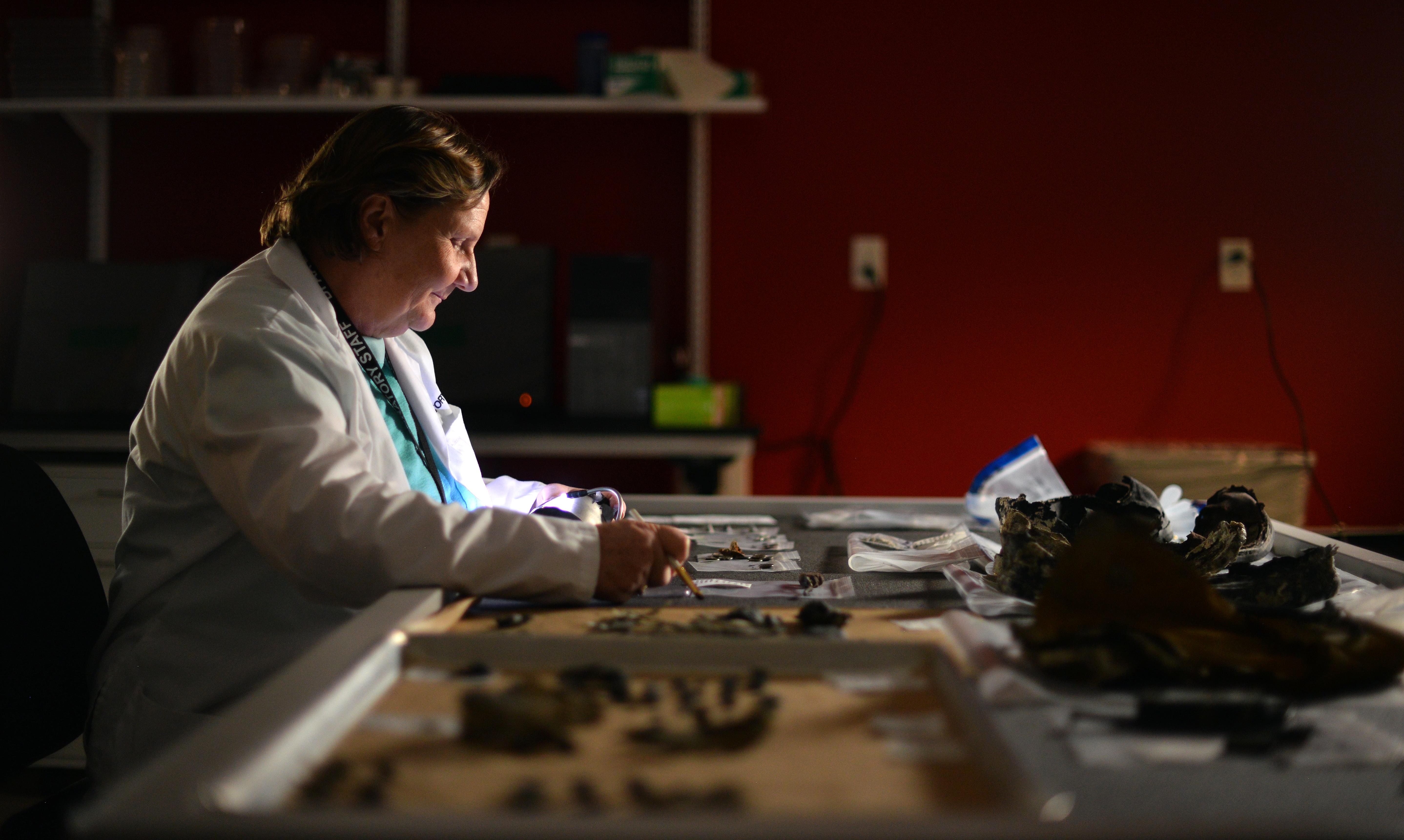 Laid to rest: DPAA brings record number of service members home ...