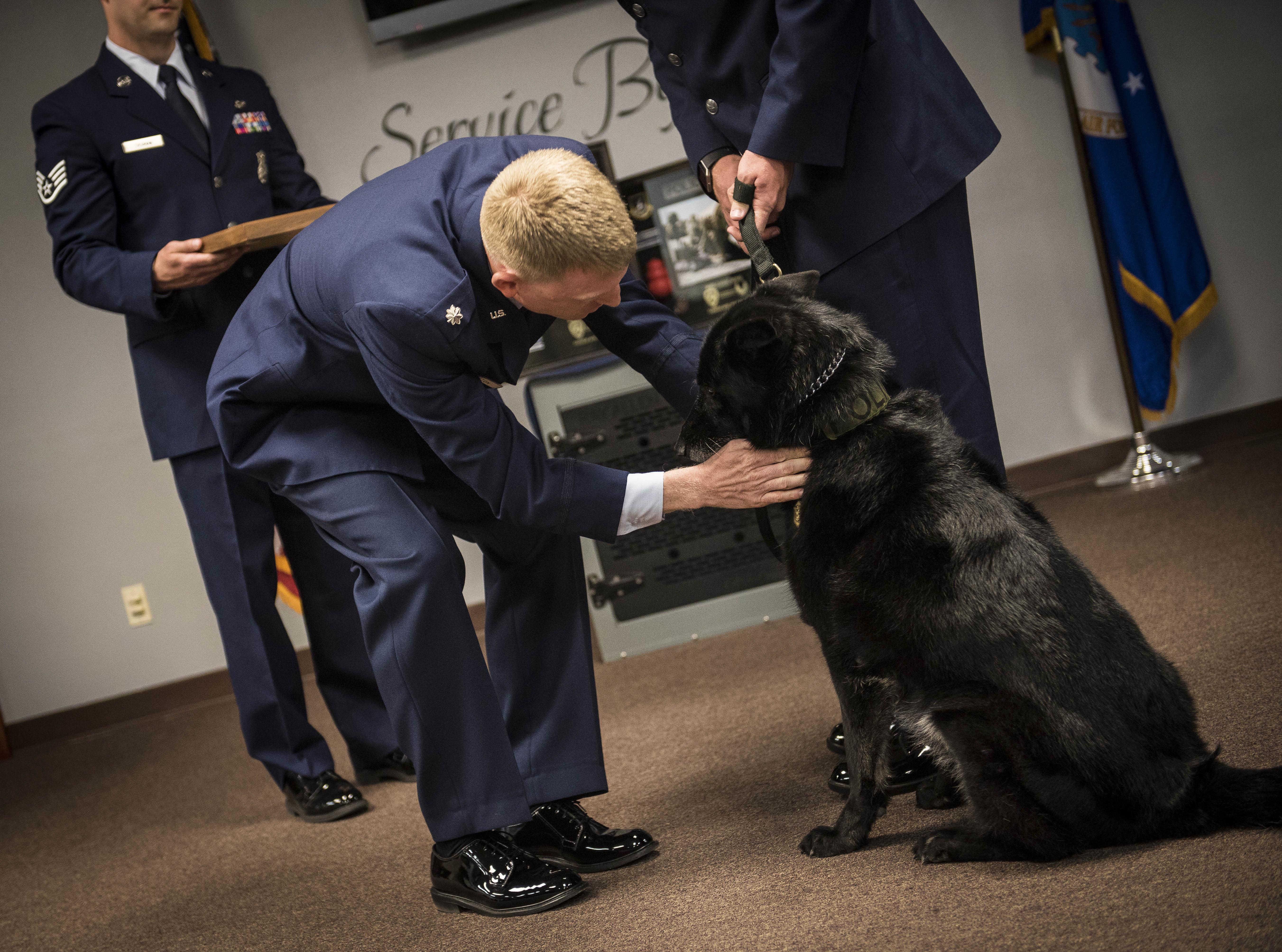 From Puppy to Protector: How the Air Force Raises Military Working Dogs ...