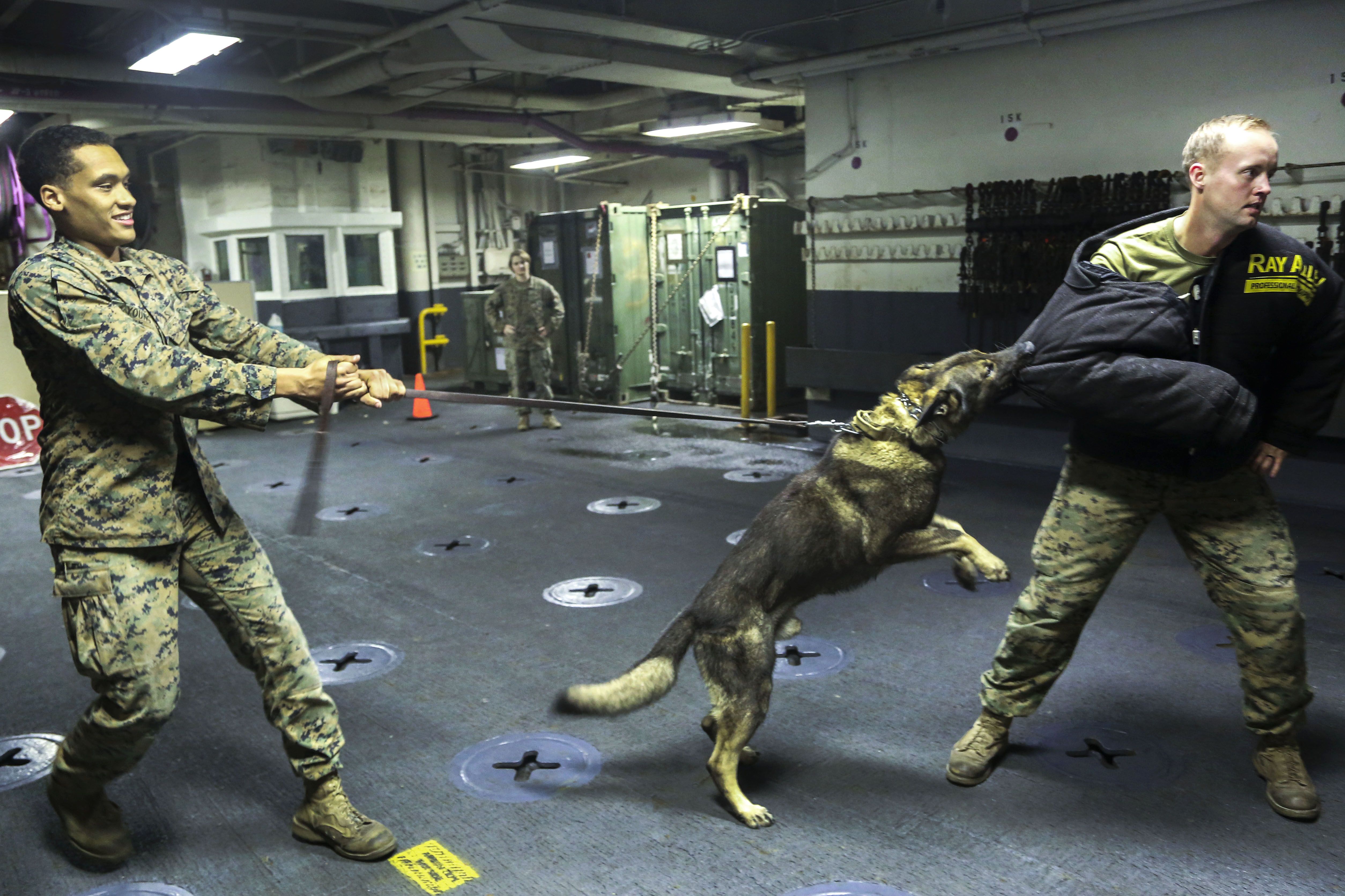 Harry's Bite | U.S. Department of War