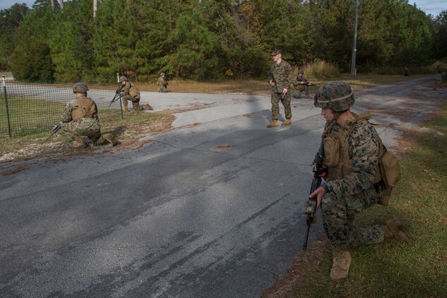 Marine infantryman train artillerymen in advanced patrolling ahead of ...
