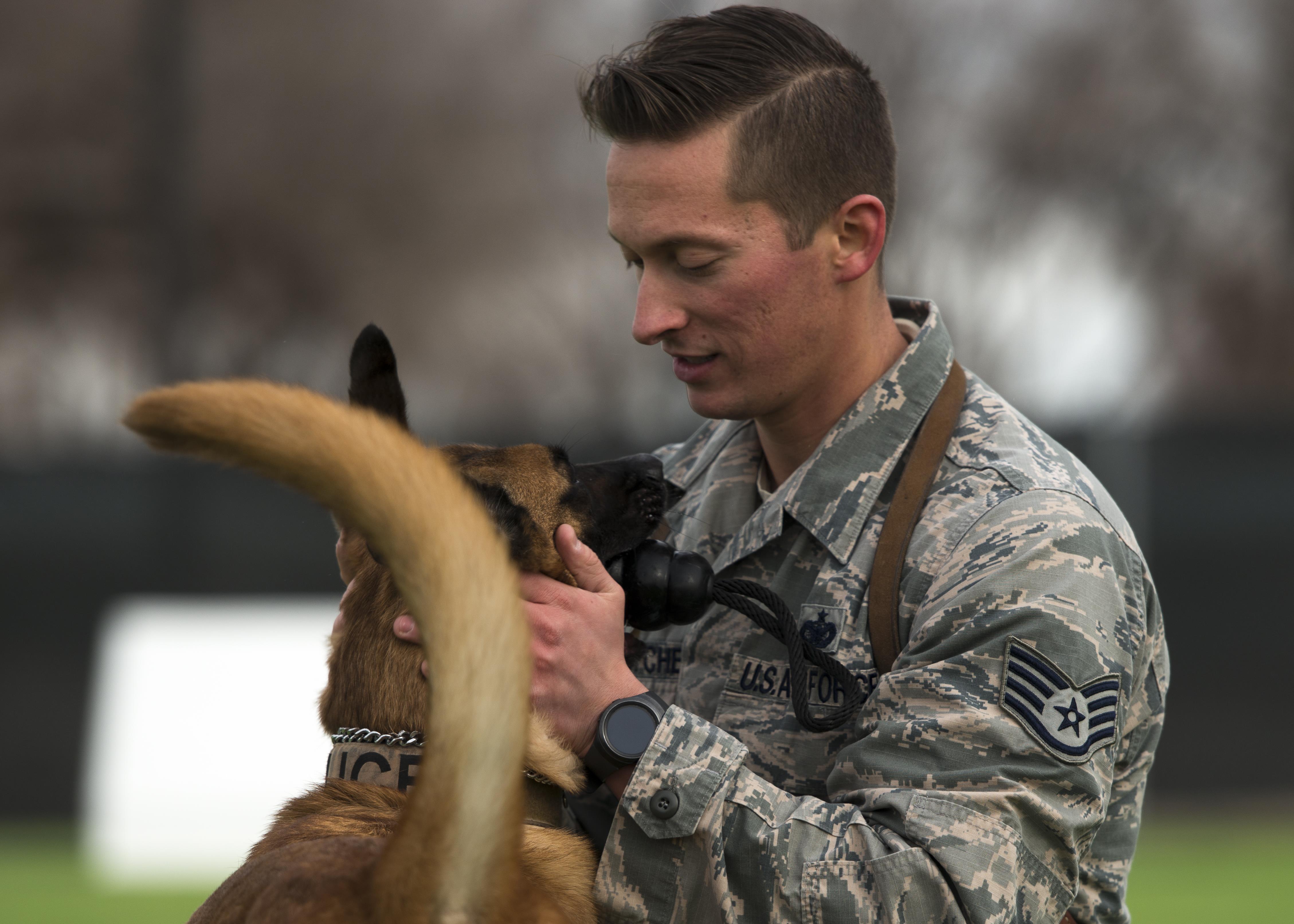 Mountain Home Air Force Base opens new military working dog obedience ...