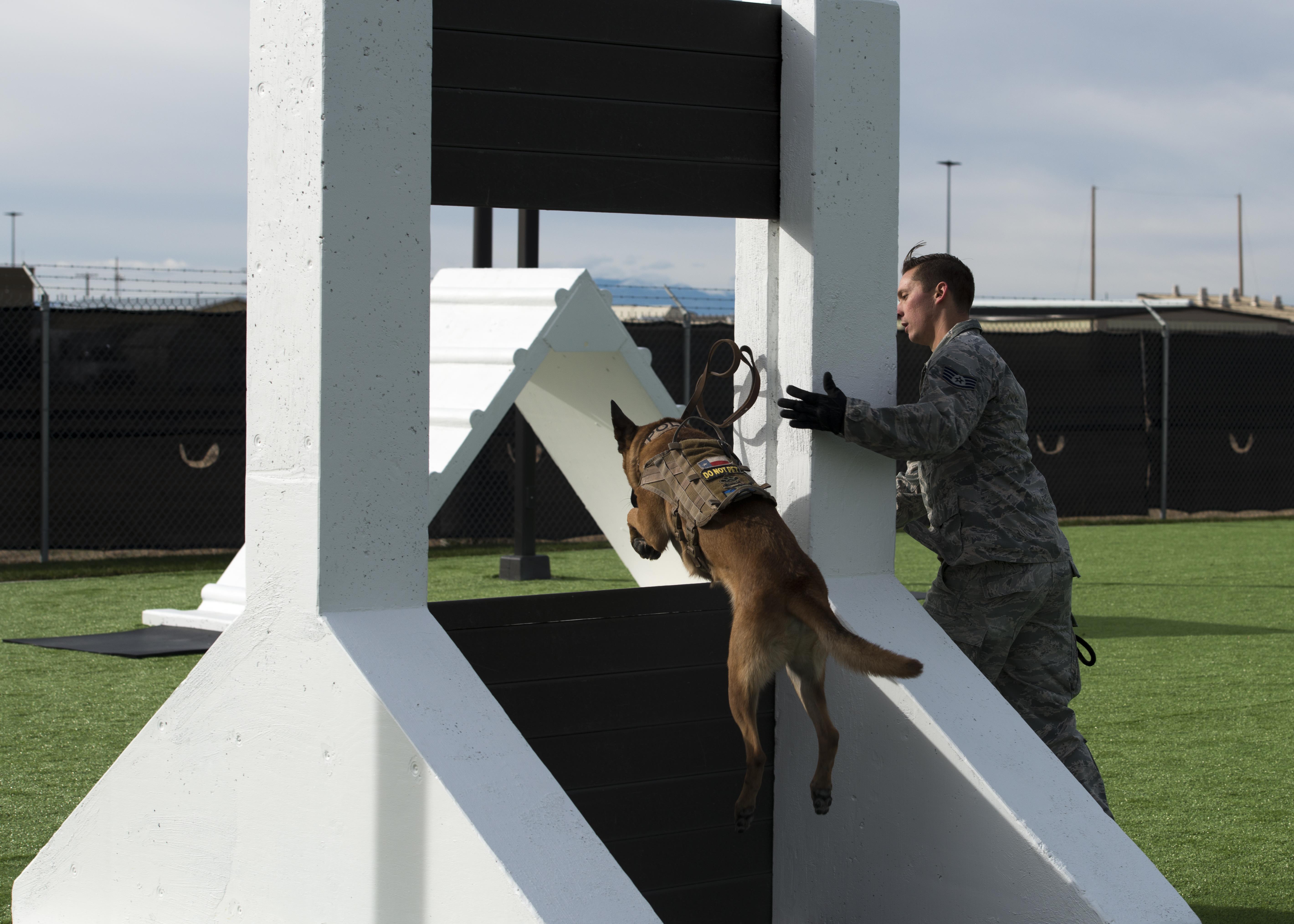 Mountain Home Air Force Base opens new military working dog obedience ...