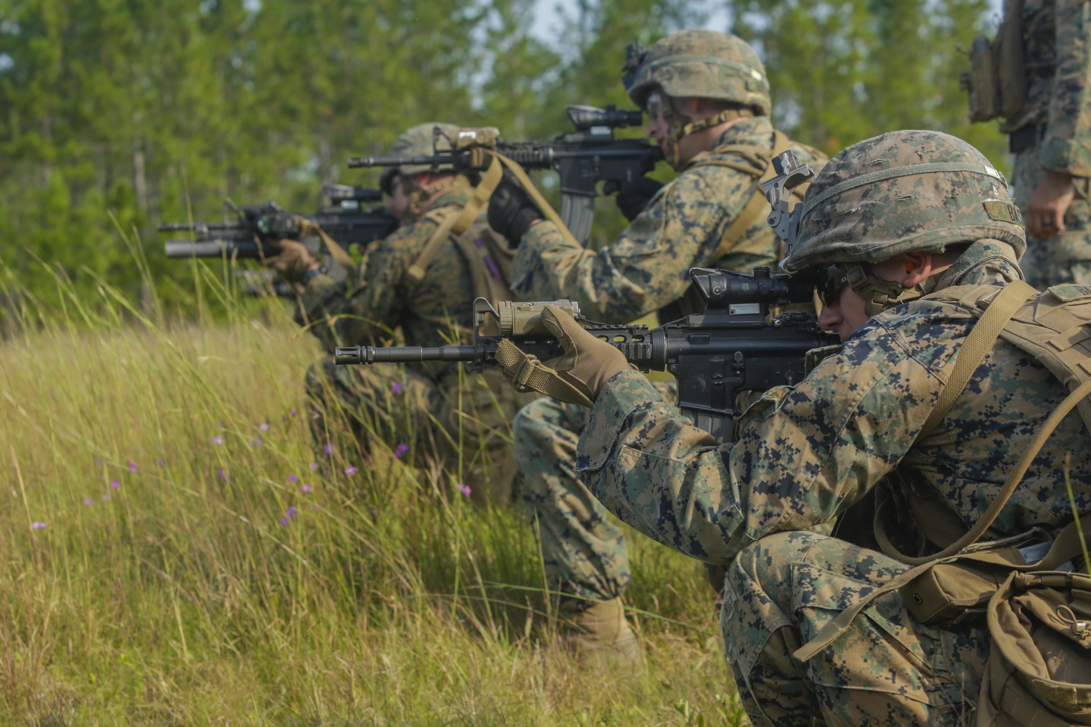 Two as one: 2/8 Echo Co. conducts cross training with CAAT