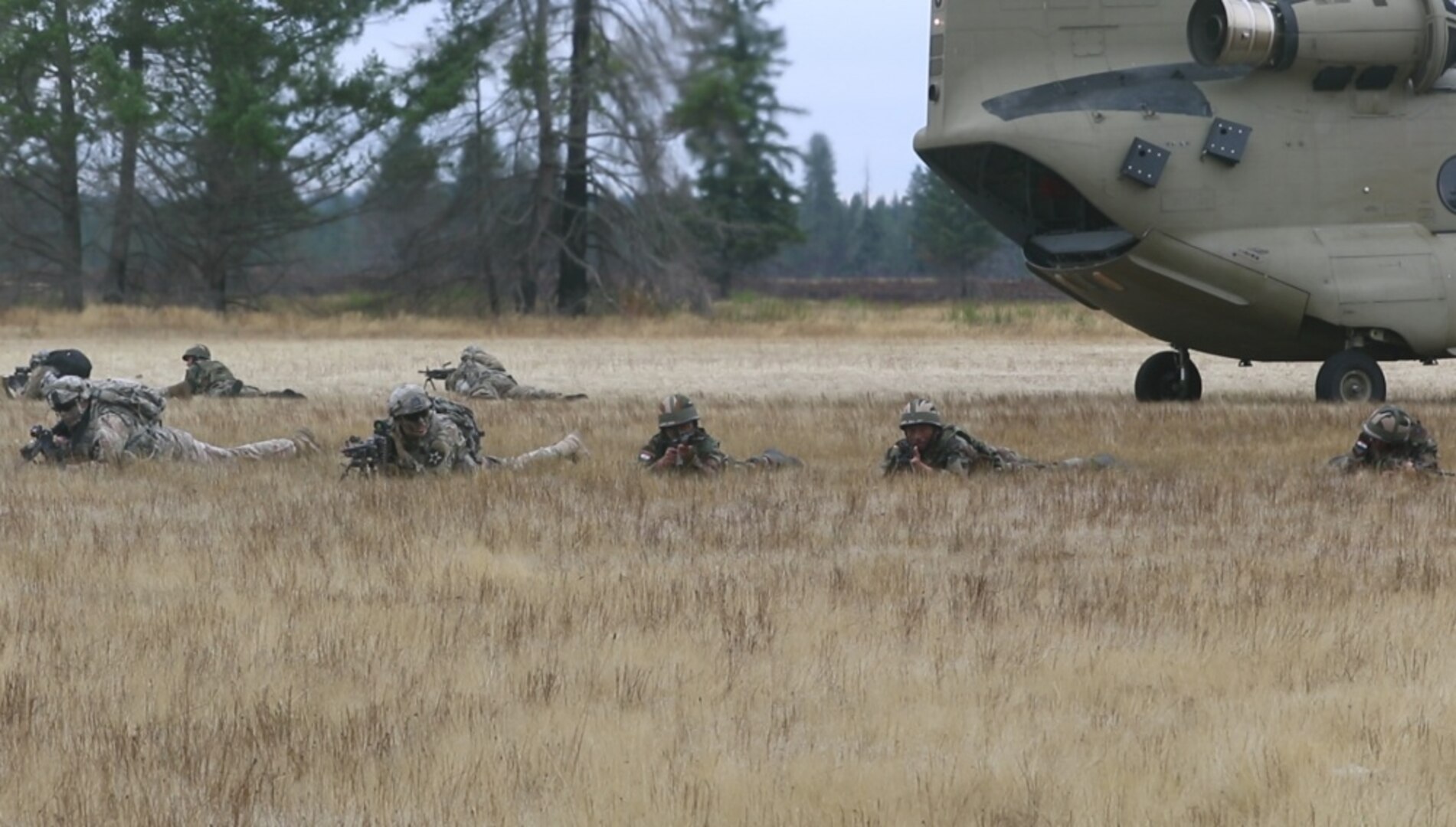 Ghost Brigade Learns from Global Partners at Home > U.S. Indo-Pacific ...