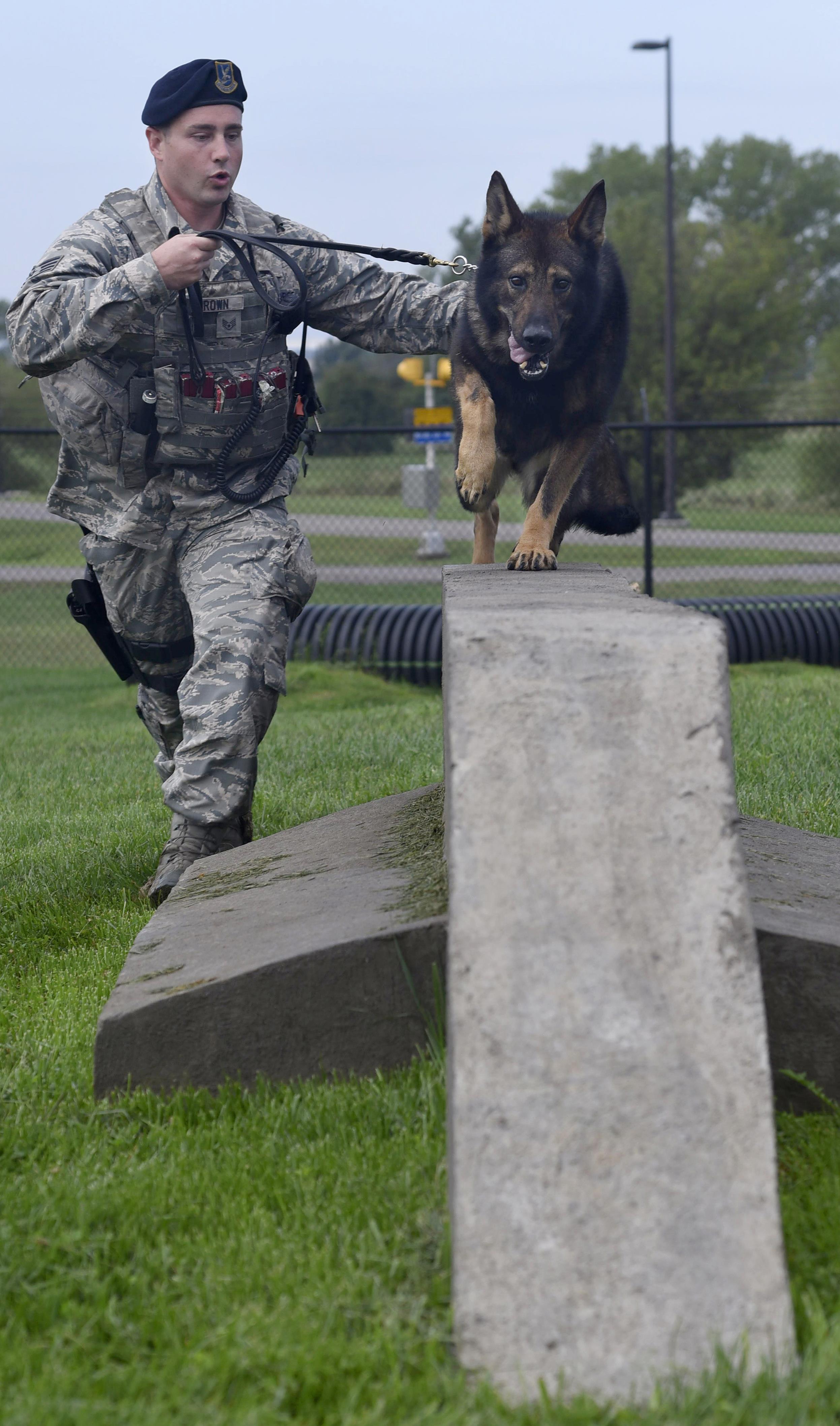 New training equipment increases MWD readiness > McConnell Air Force ...