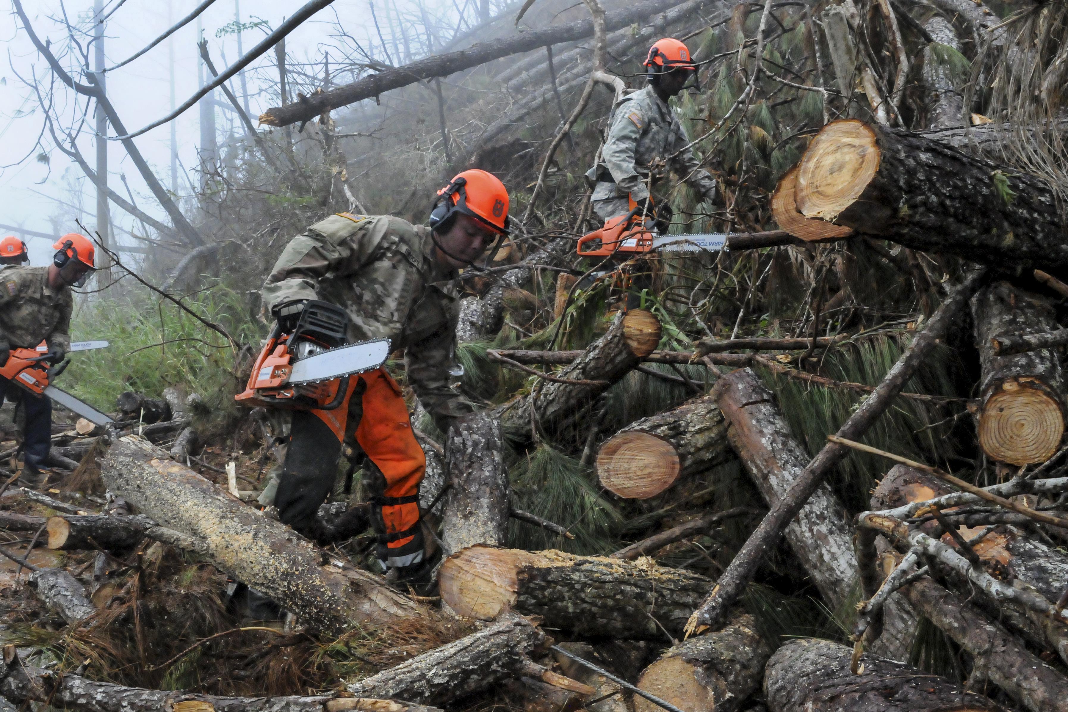 Clearing Roads | U.S. Department of War