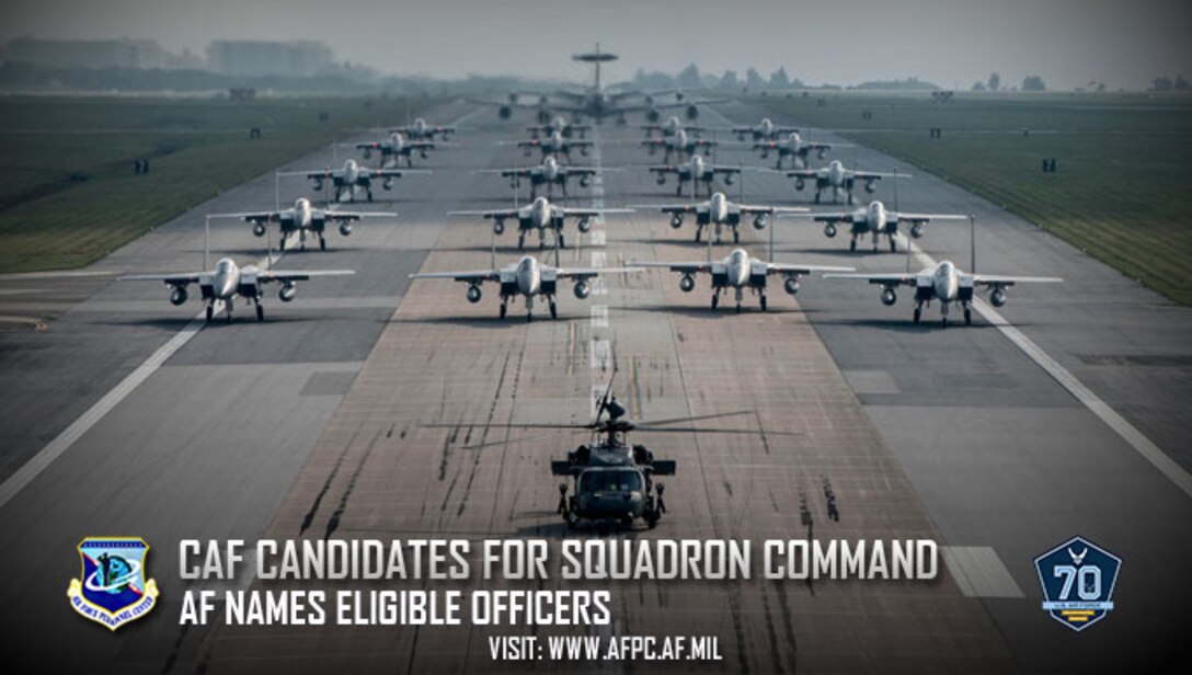 Combat air forces squadron commander candidates named