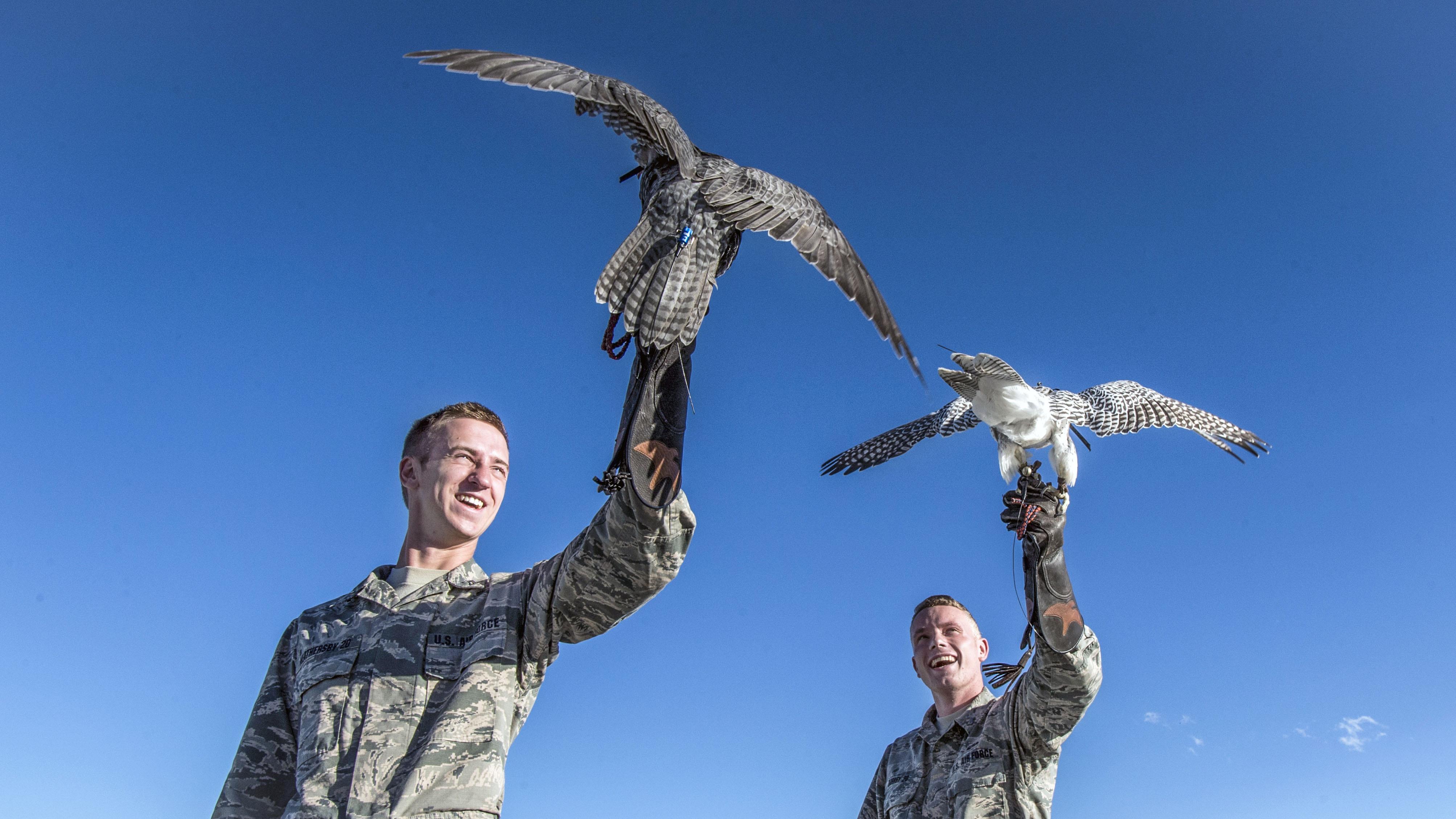 Raptor Release | U.S. Department of War