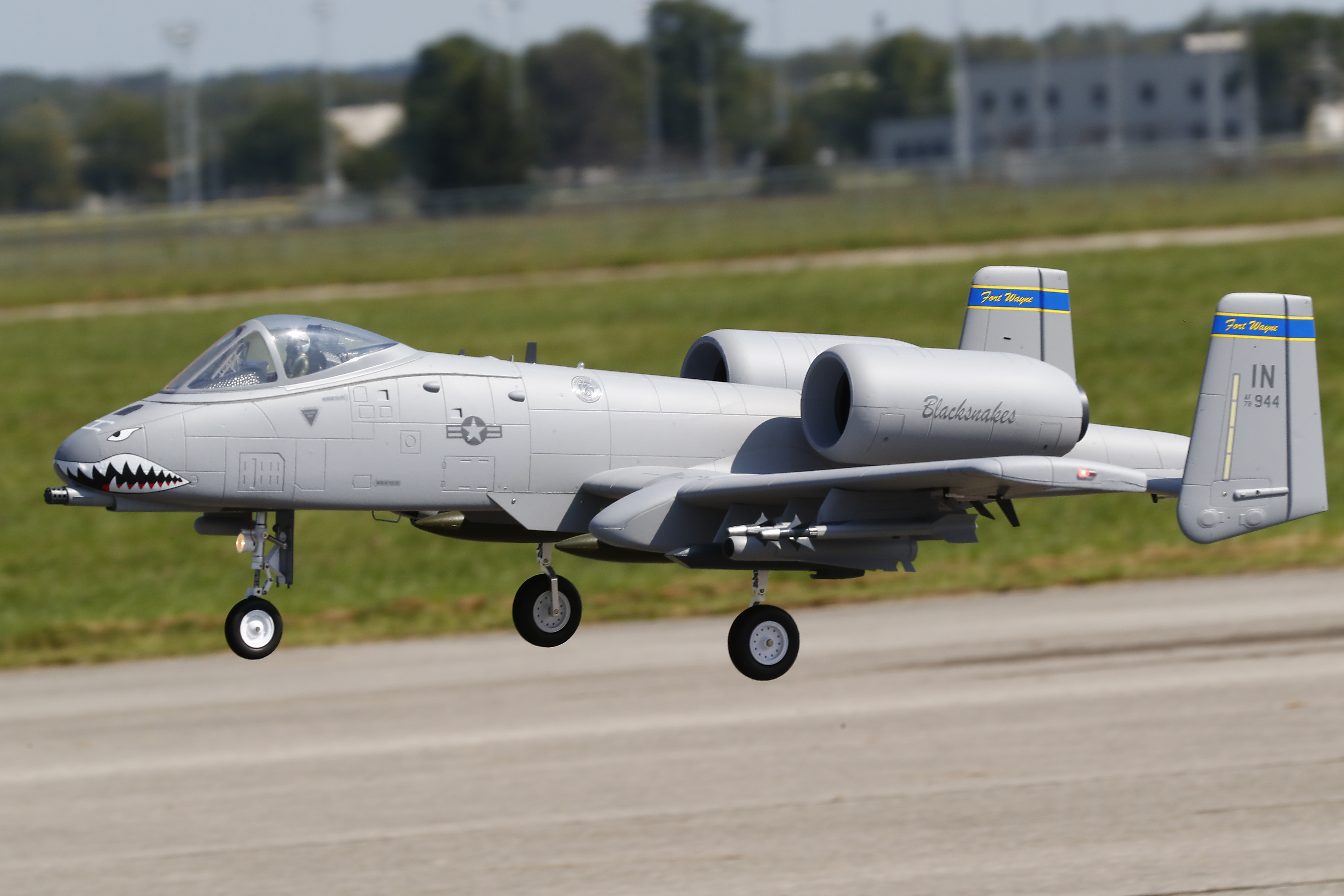 Giant Scale Radio-Controlled (RC) Model Aircraft Air Show