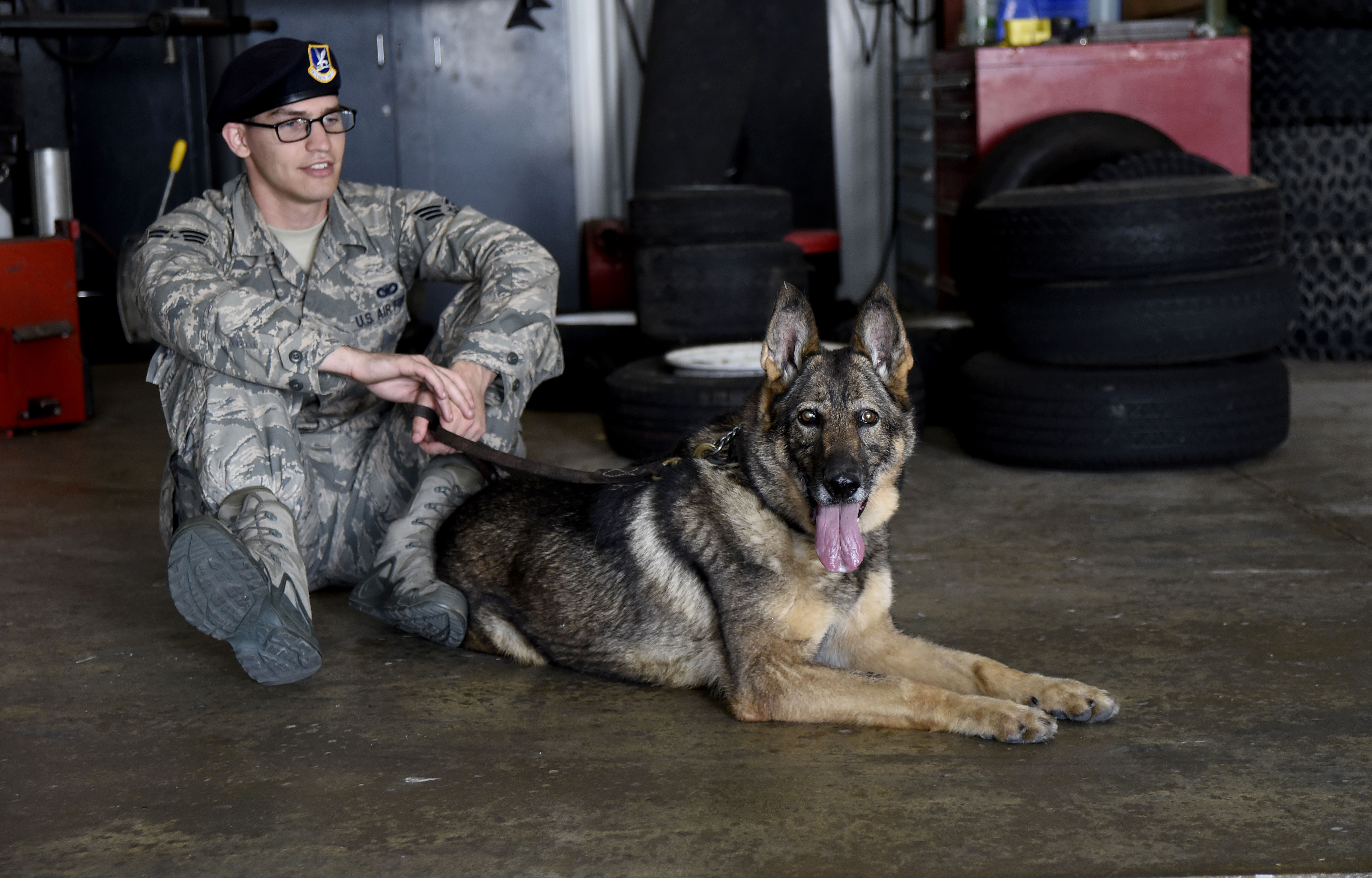 Military working dog detection training > McConnell Air Force Base > News