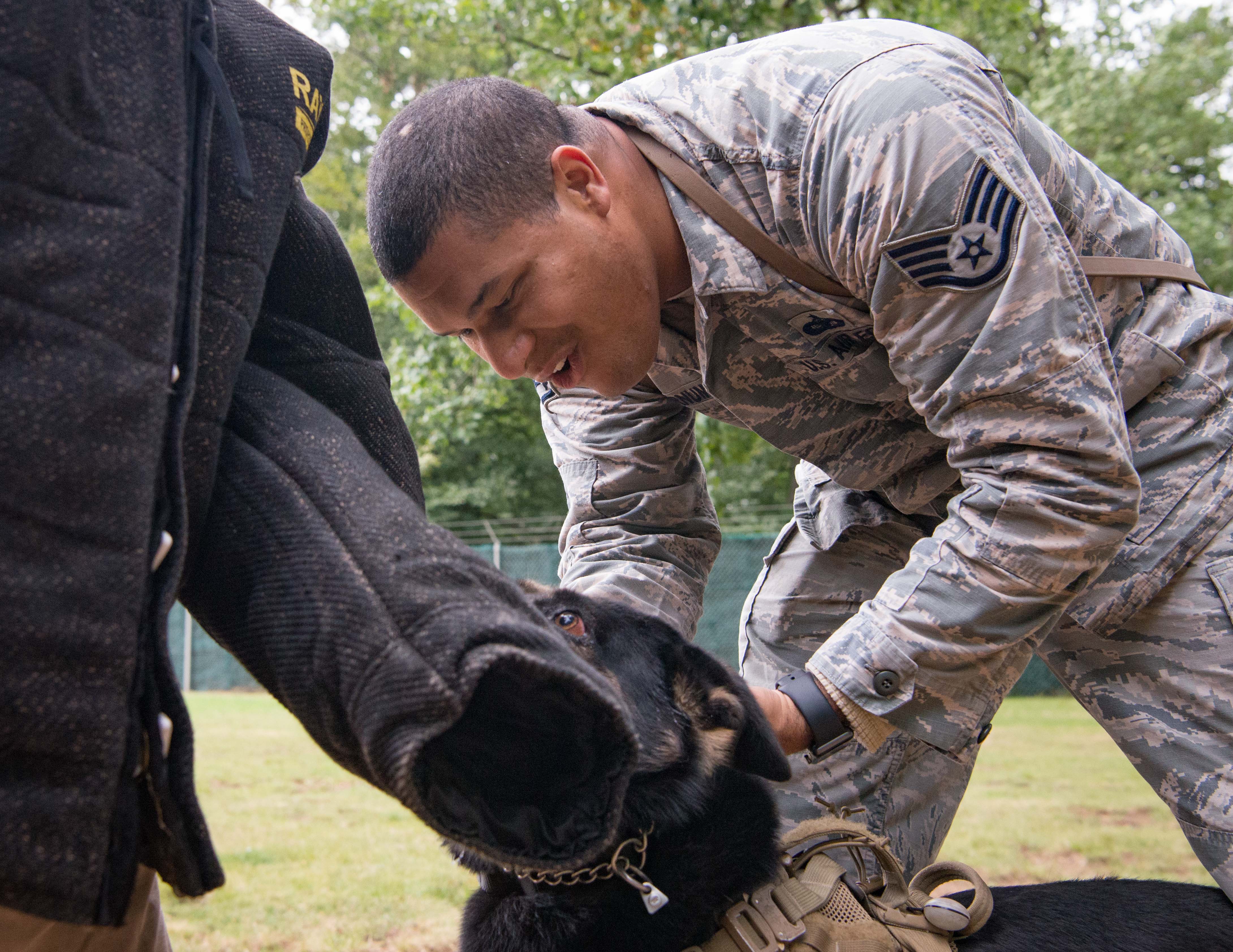 No ordinary dog > Ramstein Air Base > Article Display