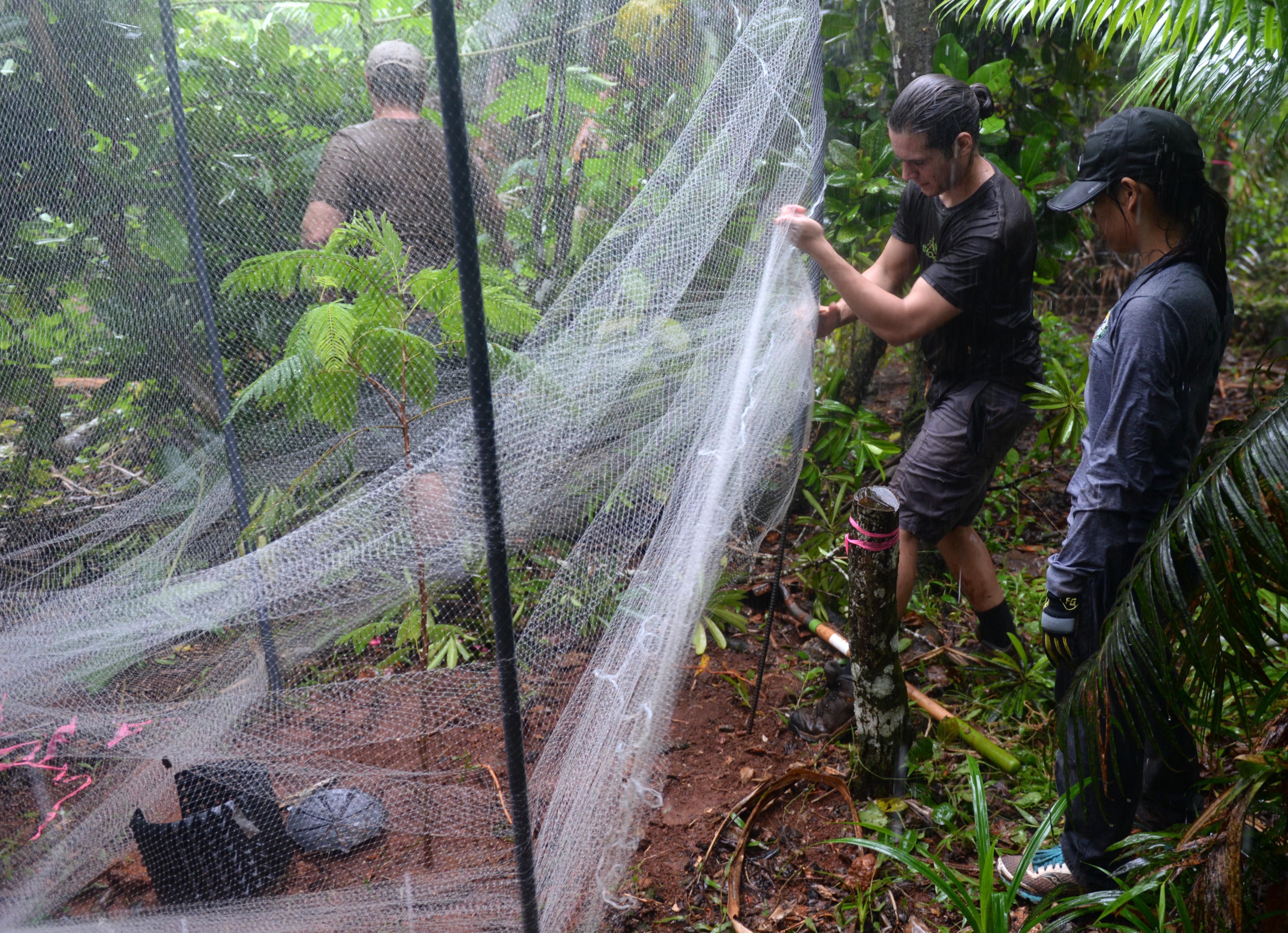 Andersen making strides to protect the endangered wildlife on Guam ...