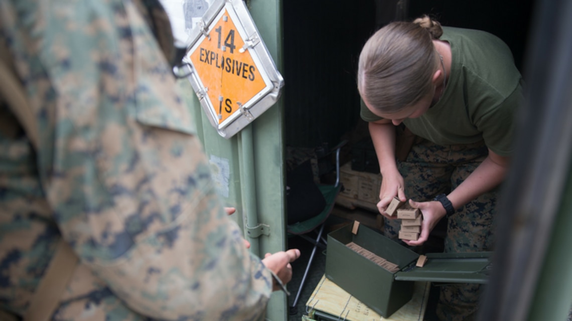 Tracking ammo gets easier: Corps launches innovative information module ...