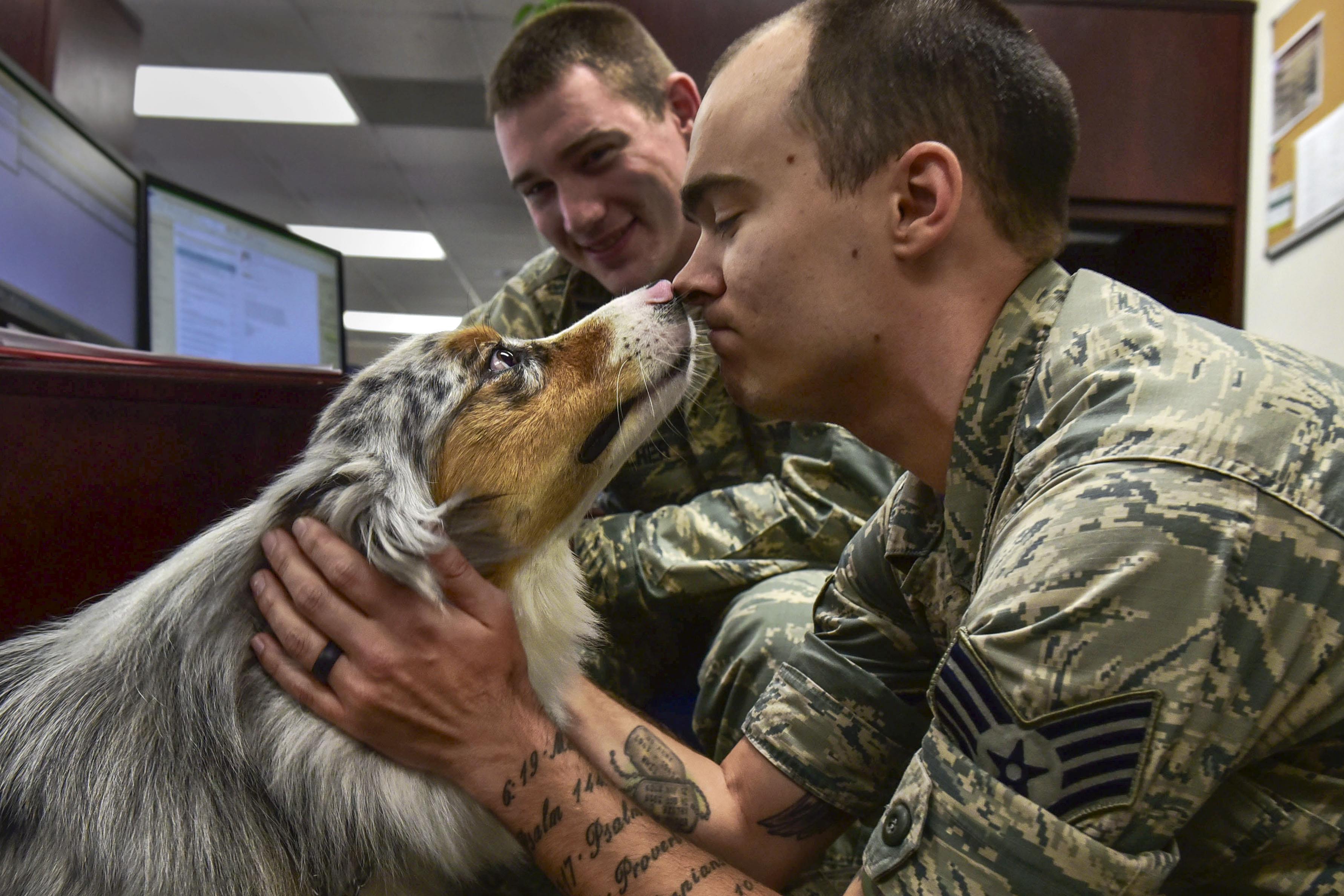 Morale Dog Improves Well-Being of Airmen > Air University (AU) > Air ...