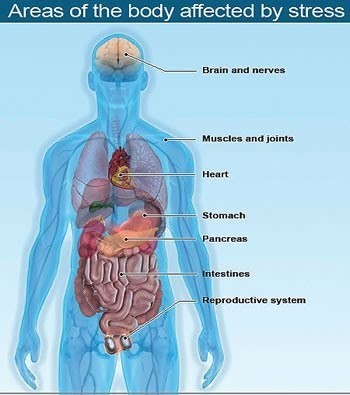 Feeling stressed? > 302nd Airlift Wing > Article Display