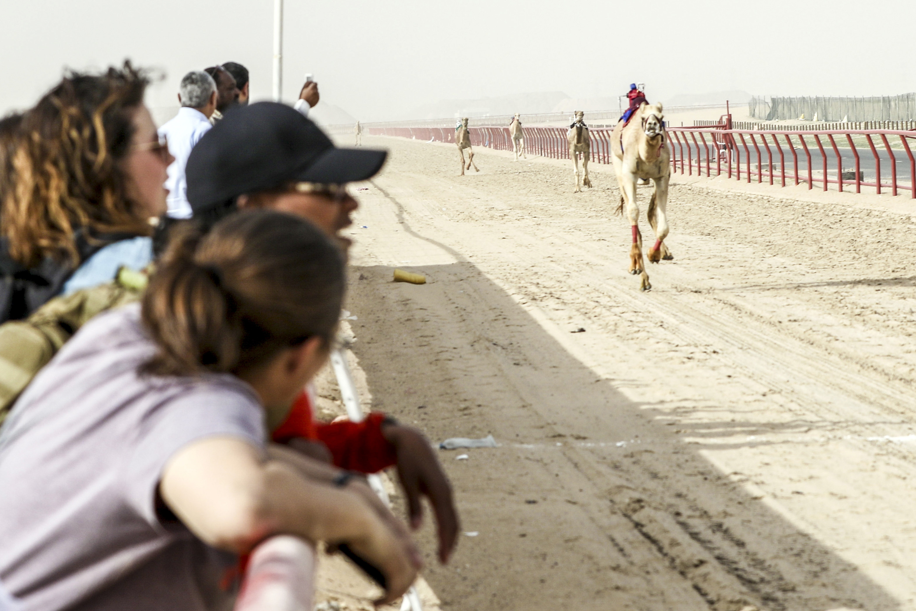 Camel Course
