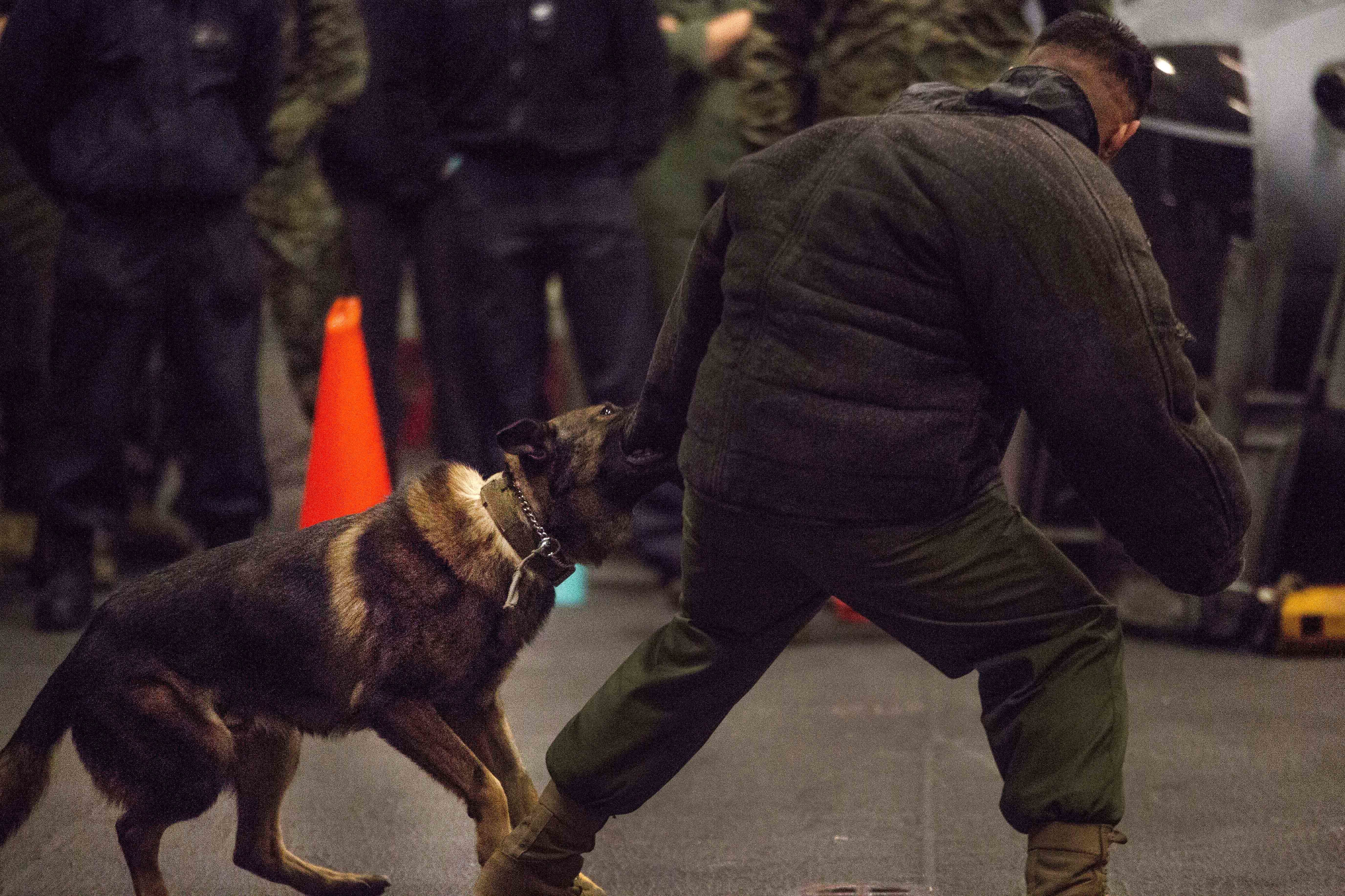 Big Bite | U.S. Department of War
