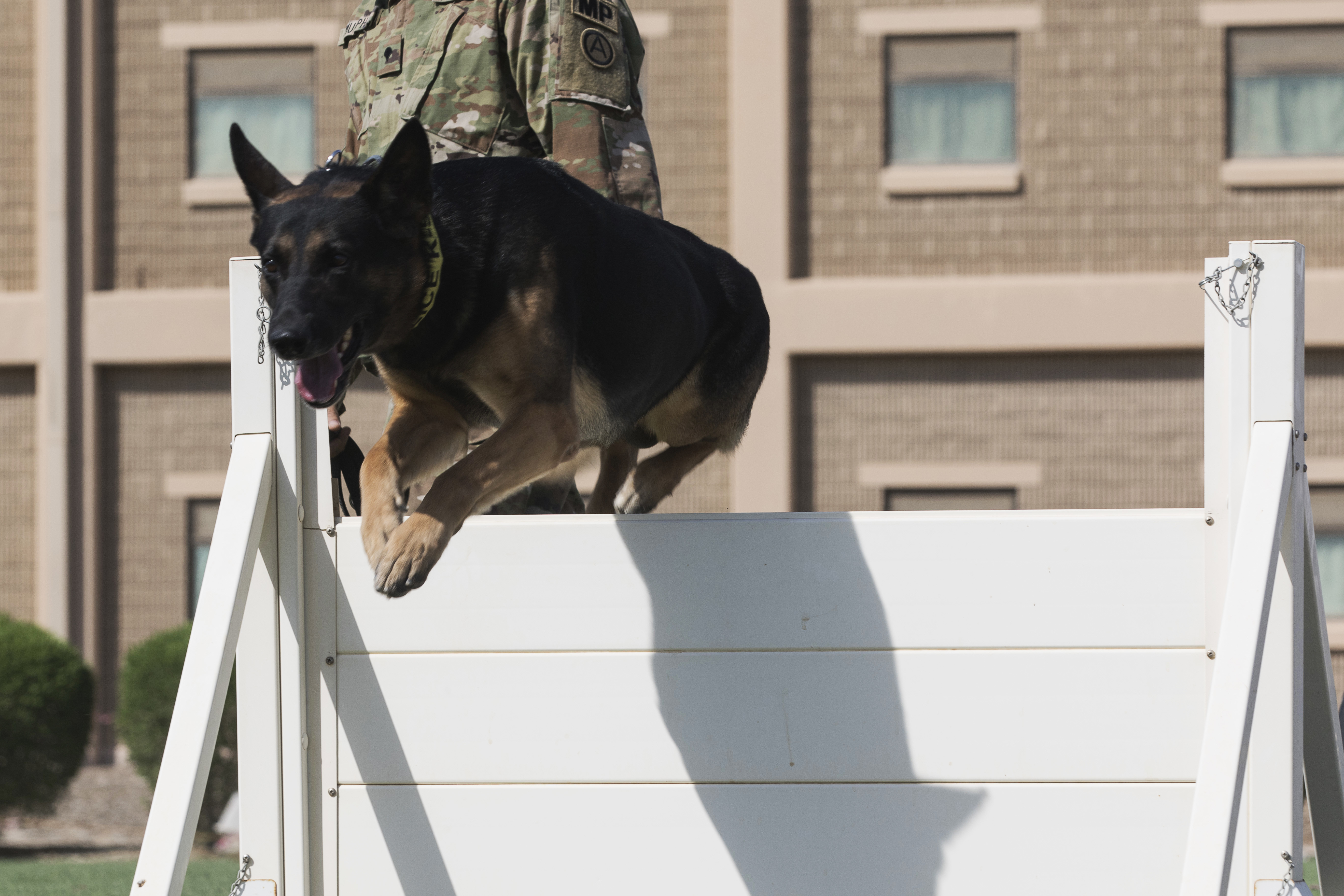 Taking A Leap | U.S. Department of War