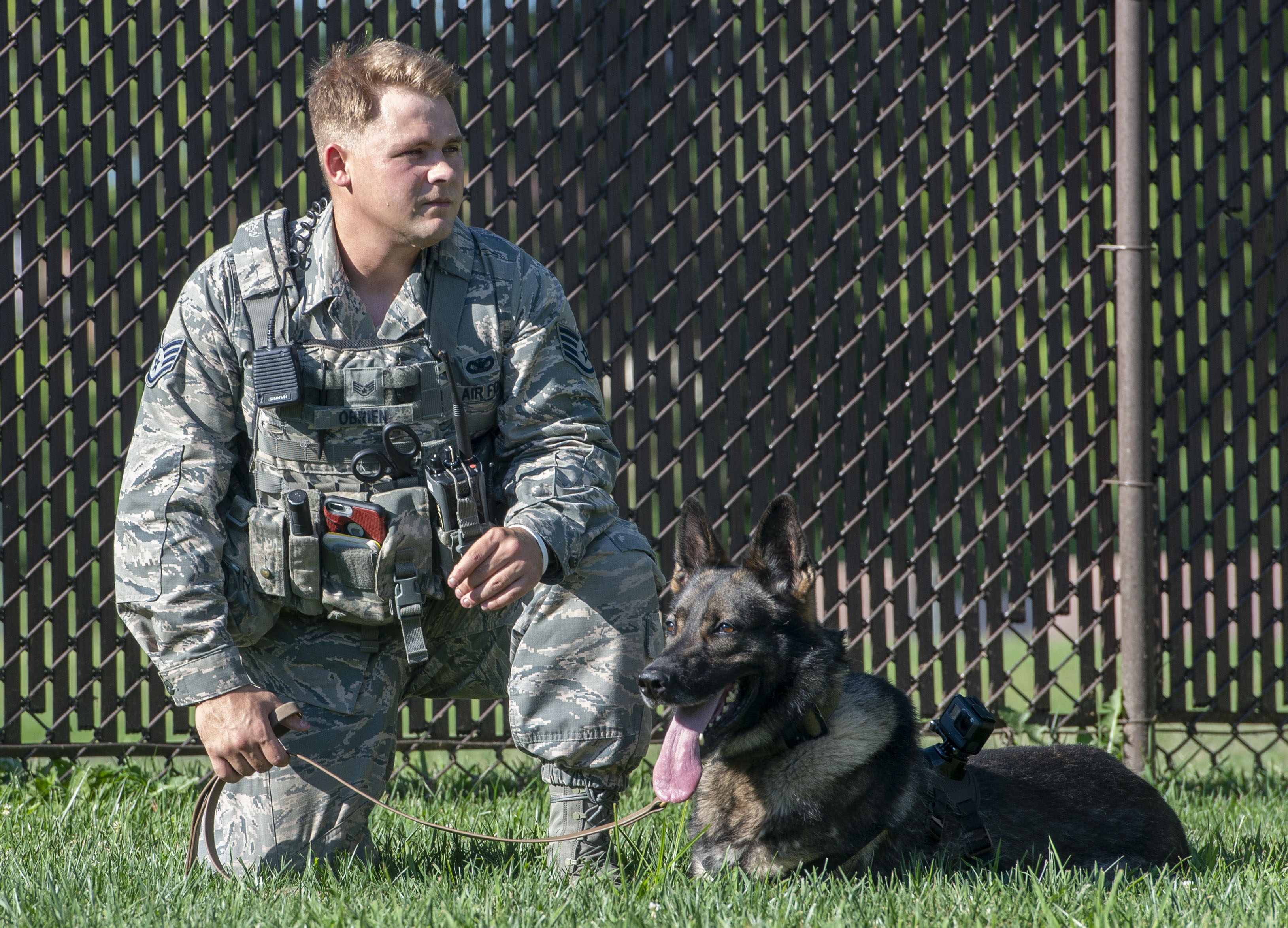 Man's Best Wingman (video) > Scott Air Force Base > Display