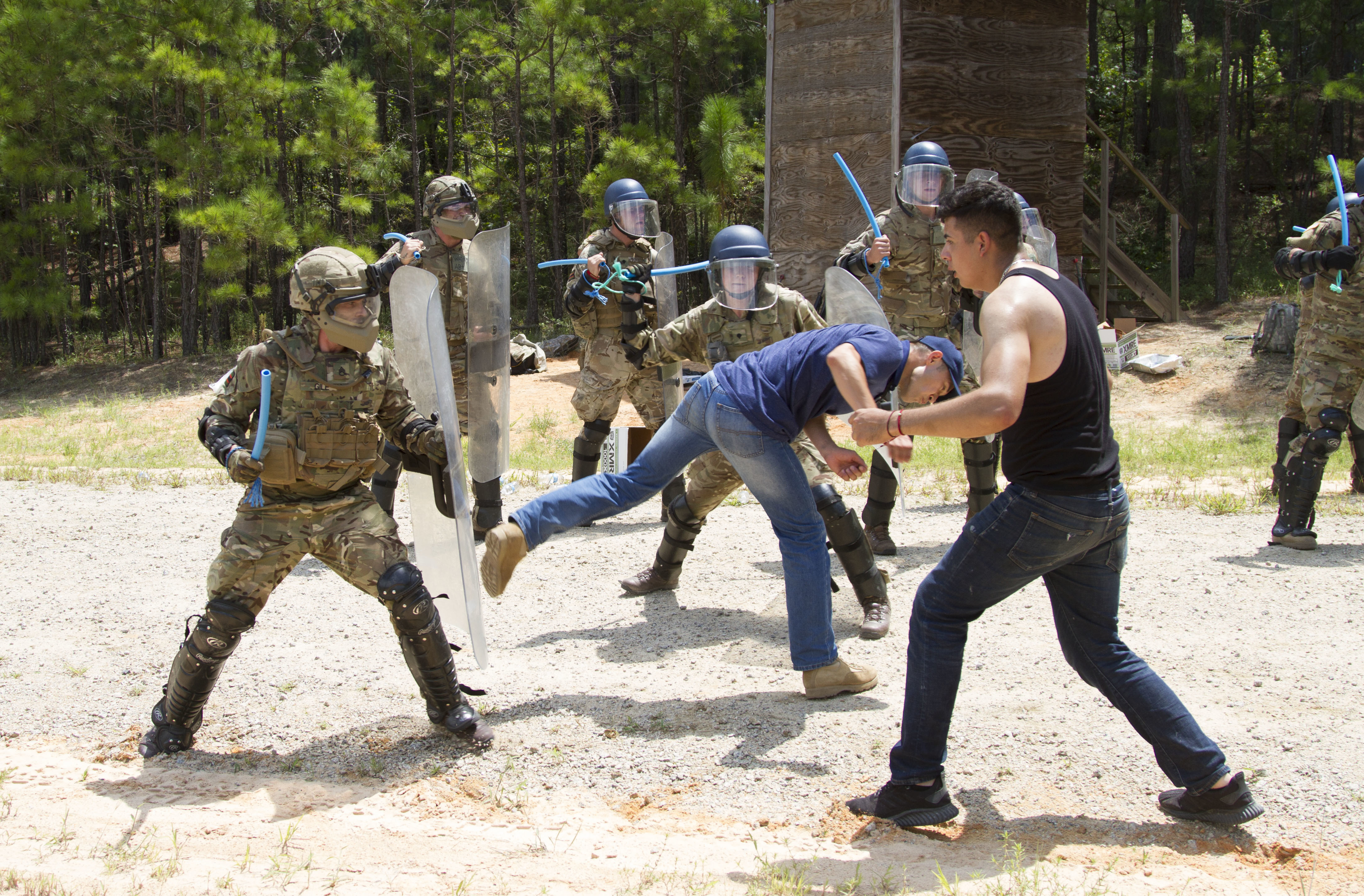 Interoperability with Partner Nations in Action > U.S. Army Central ...