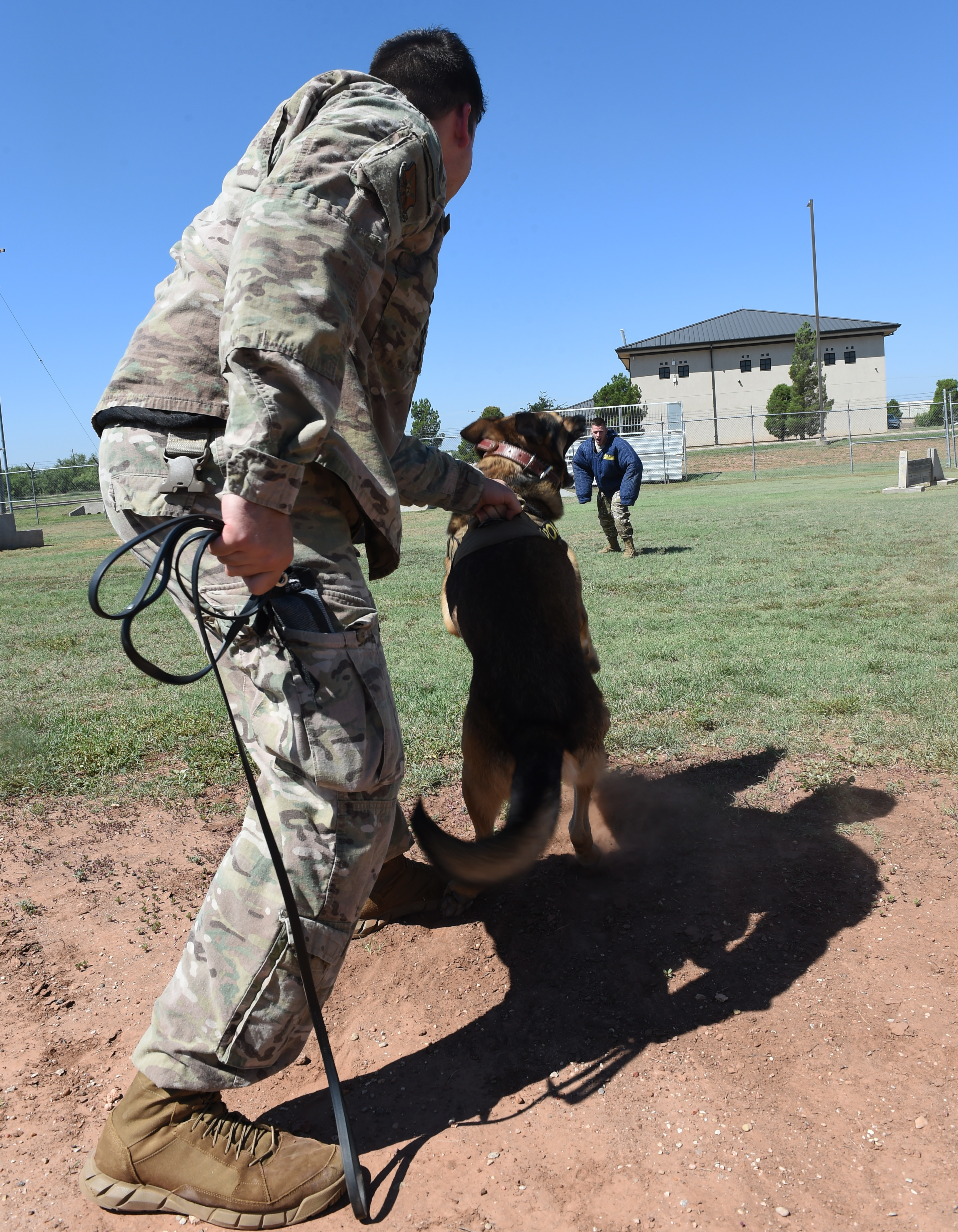 Defensor Fortis: Work bites > Dyess Air Force Base > Article Display