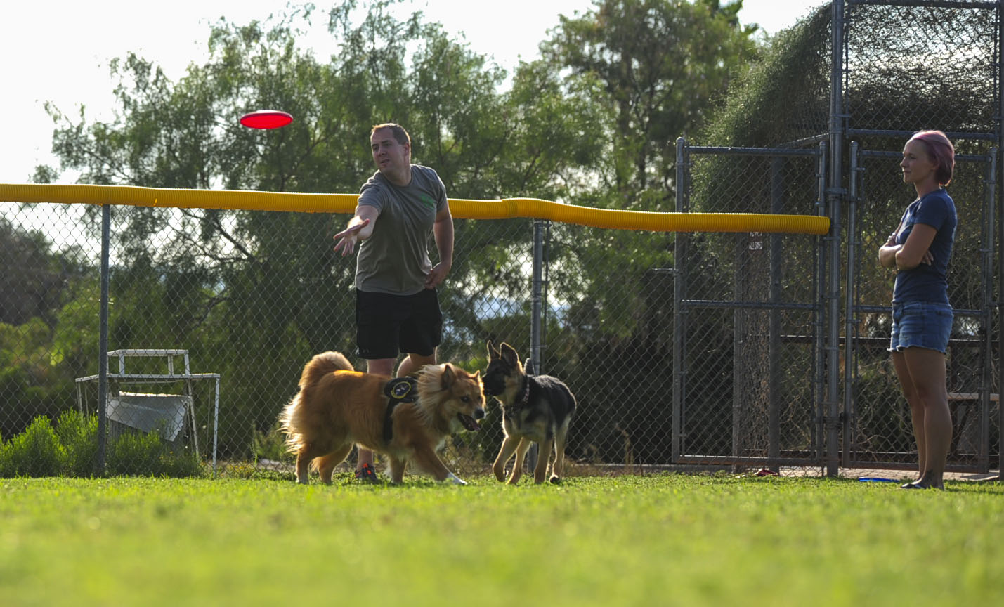 Face of Defense: Air Force Captain, Veterinarian Wife Support Foster ...