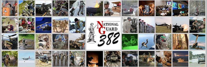 NAT GUARD 382