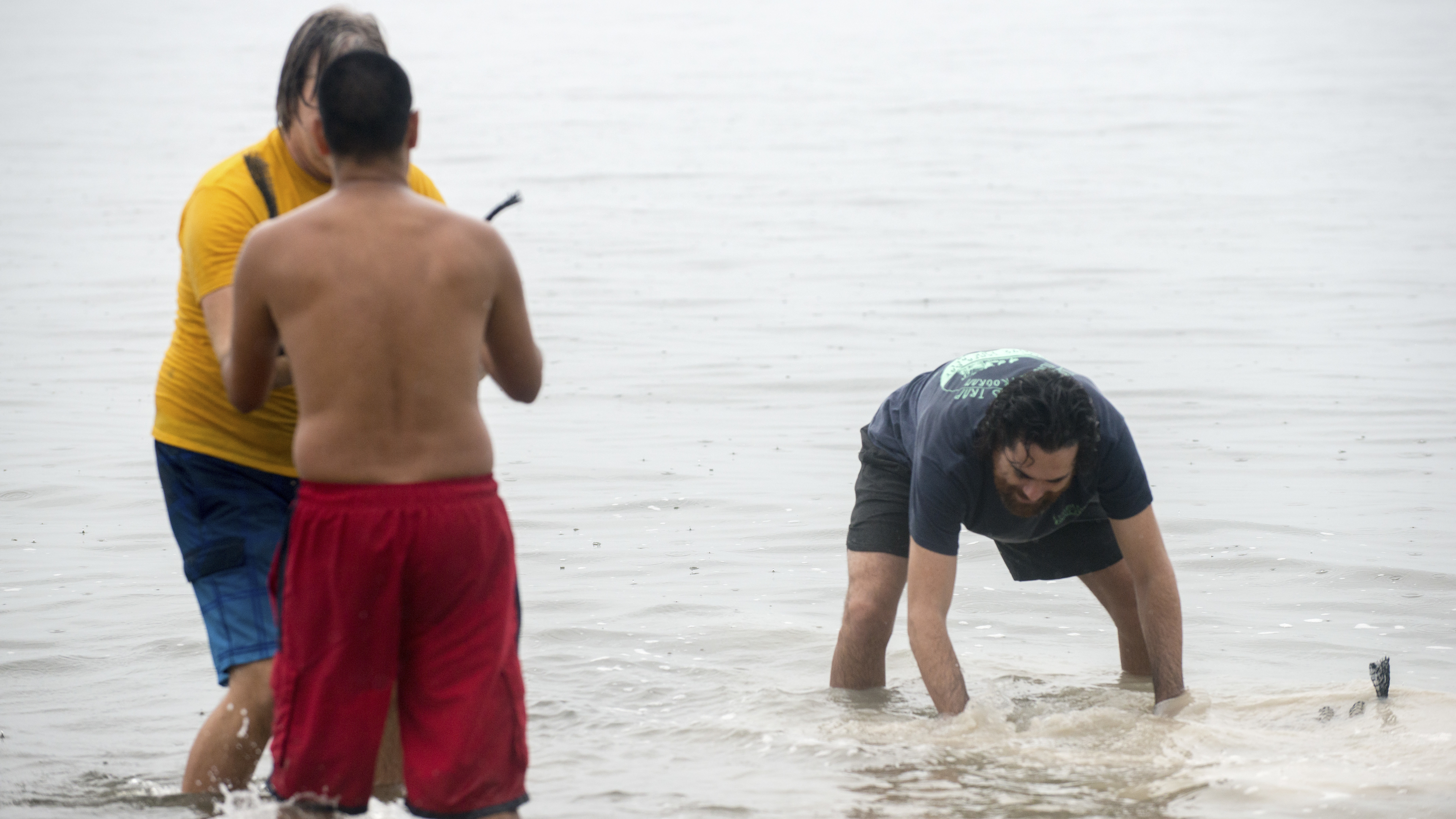 6th CES environmental leads effort to protect MacDill shoreline ...