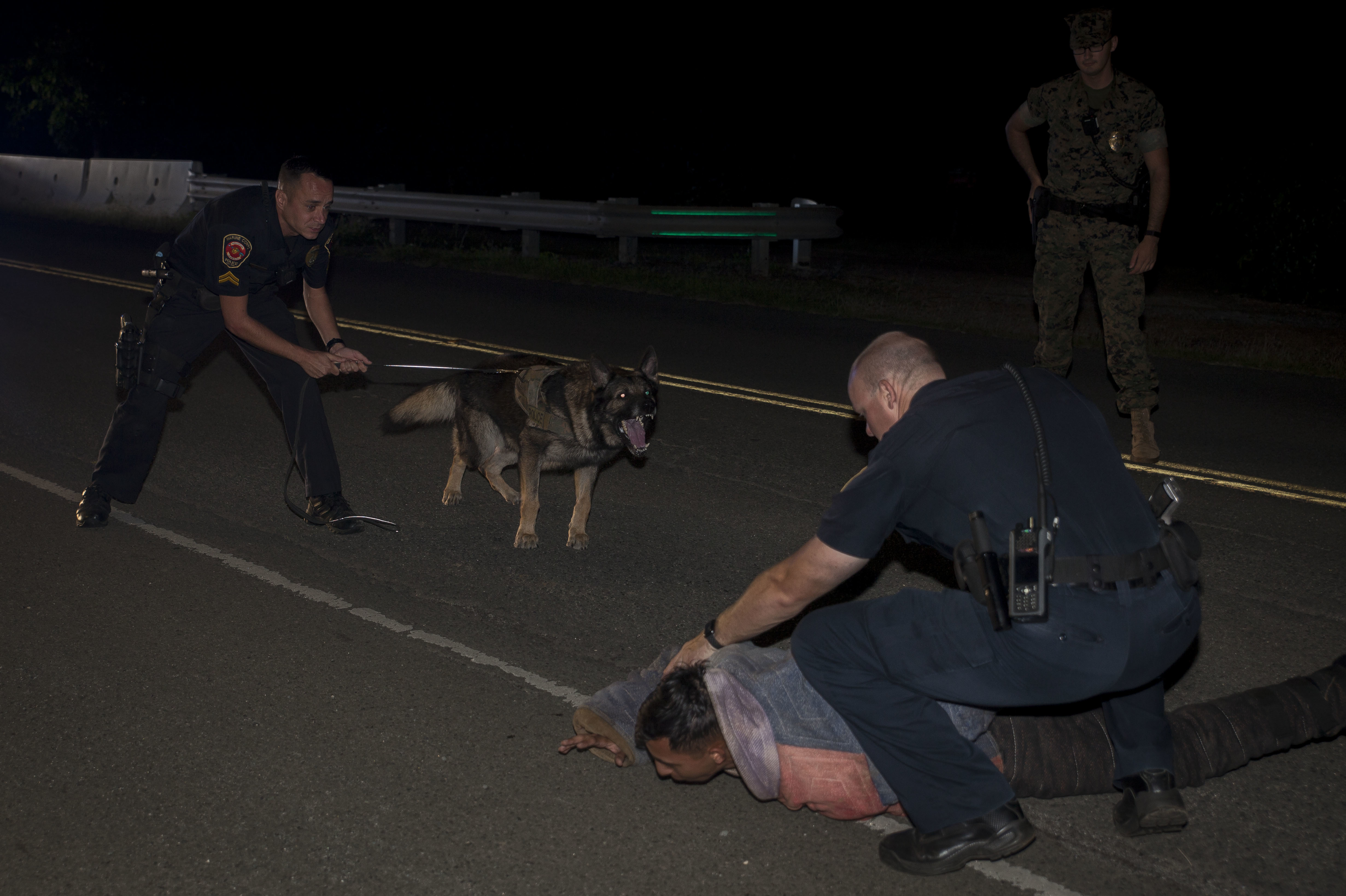 MWDs and their partners keep guard aboard MCBH > Marine Corps Base ...