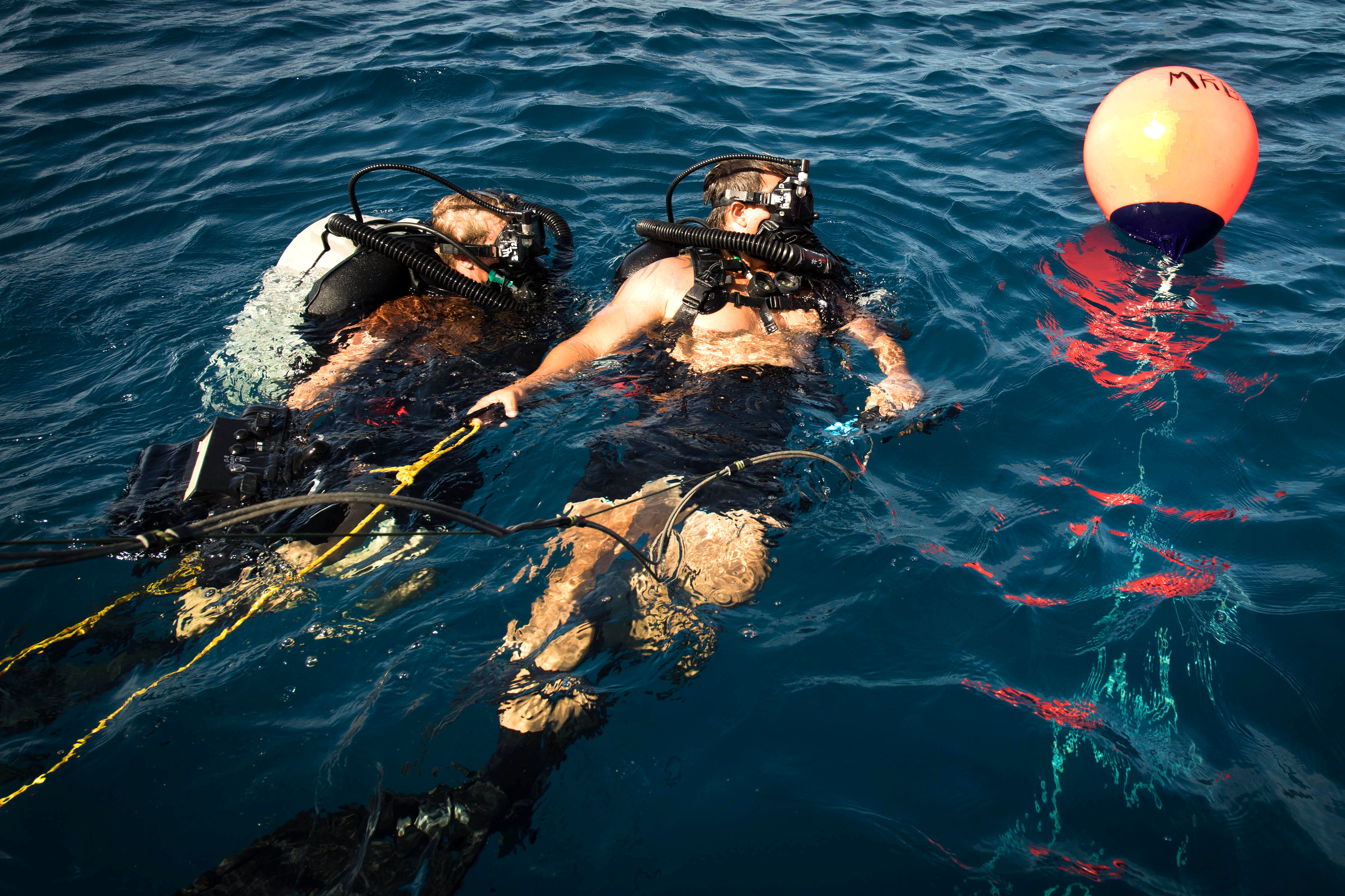 Sailors Swim