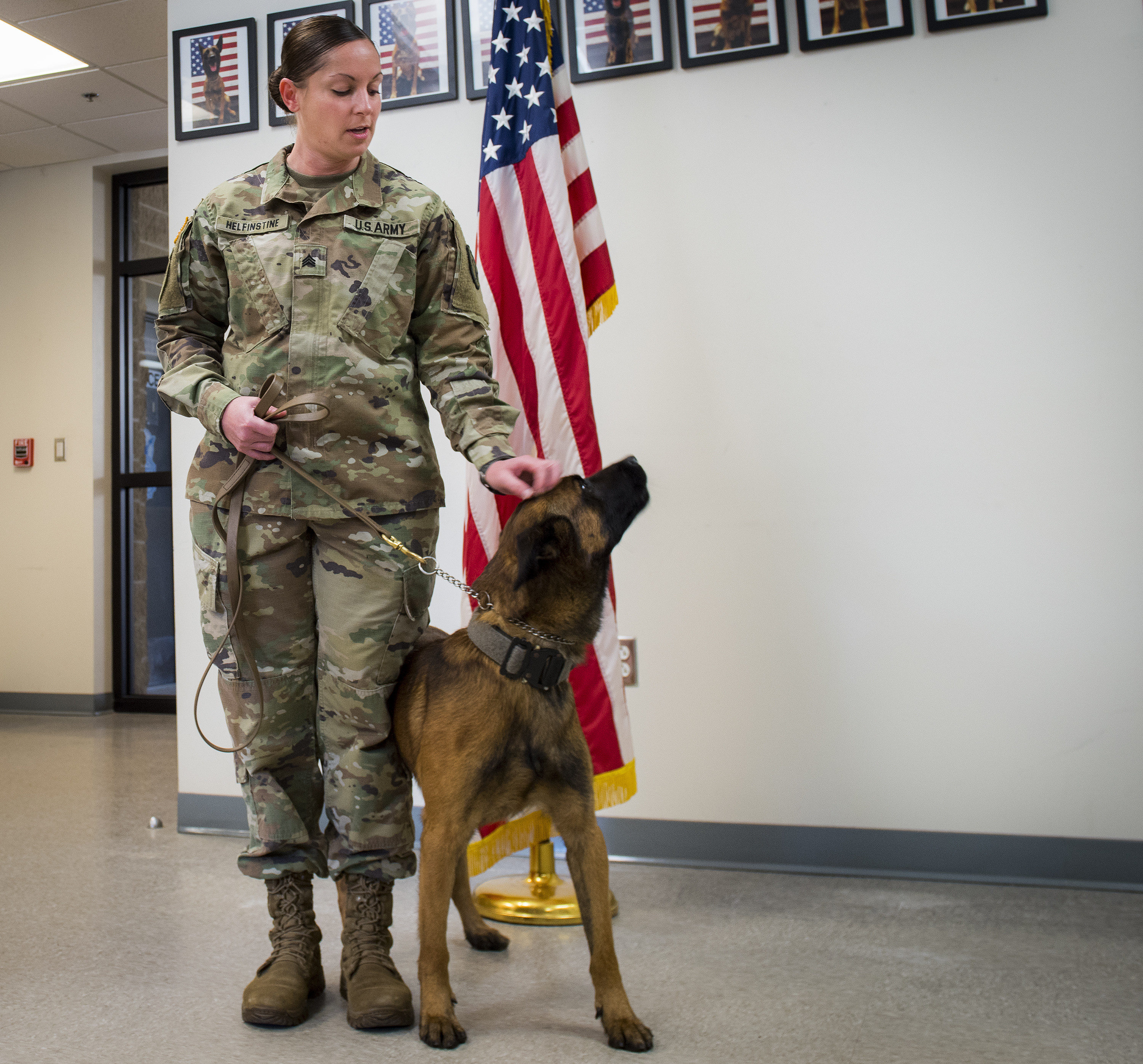 Military working dog revived by vet tech > Air Force > Article Display