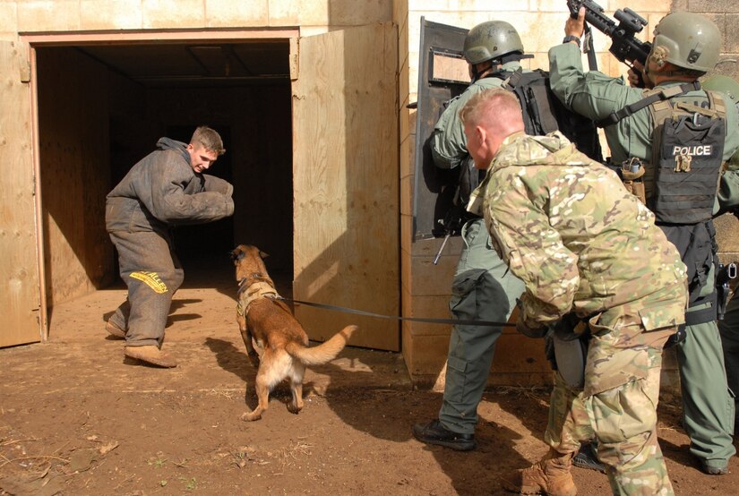 Joint Training Increases K-9, Handler Skills > U.S. Indo-Pacific ...