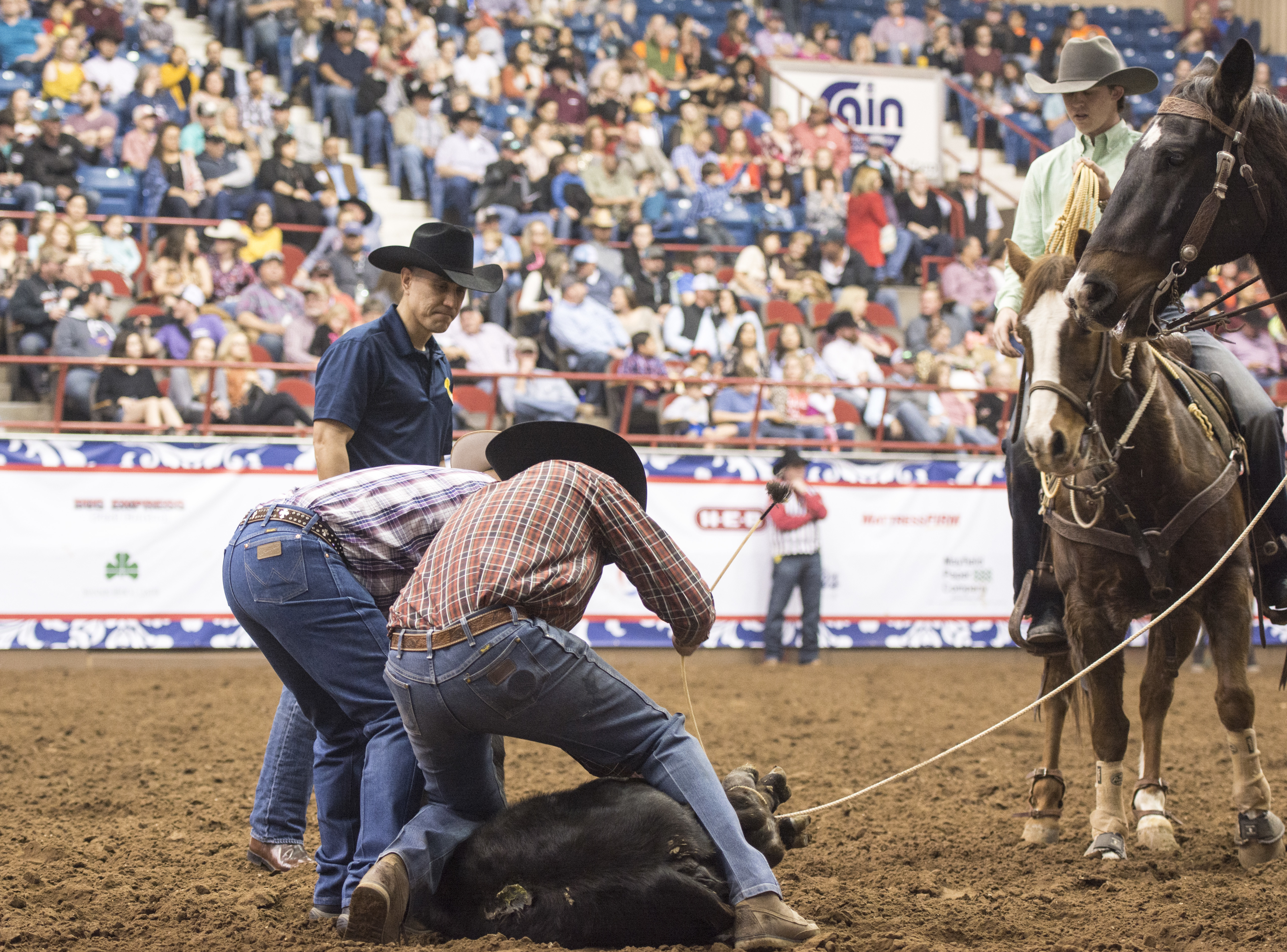 Photo Story - Bull ridin’, calf ropin’, mutton bustin’ and buckin ...