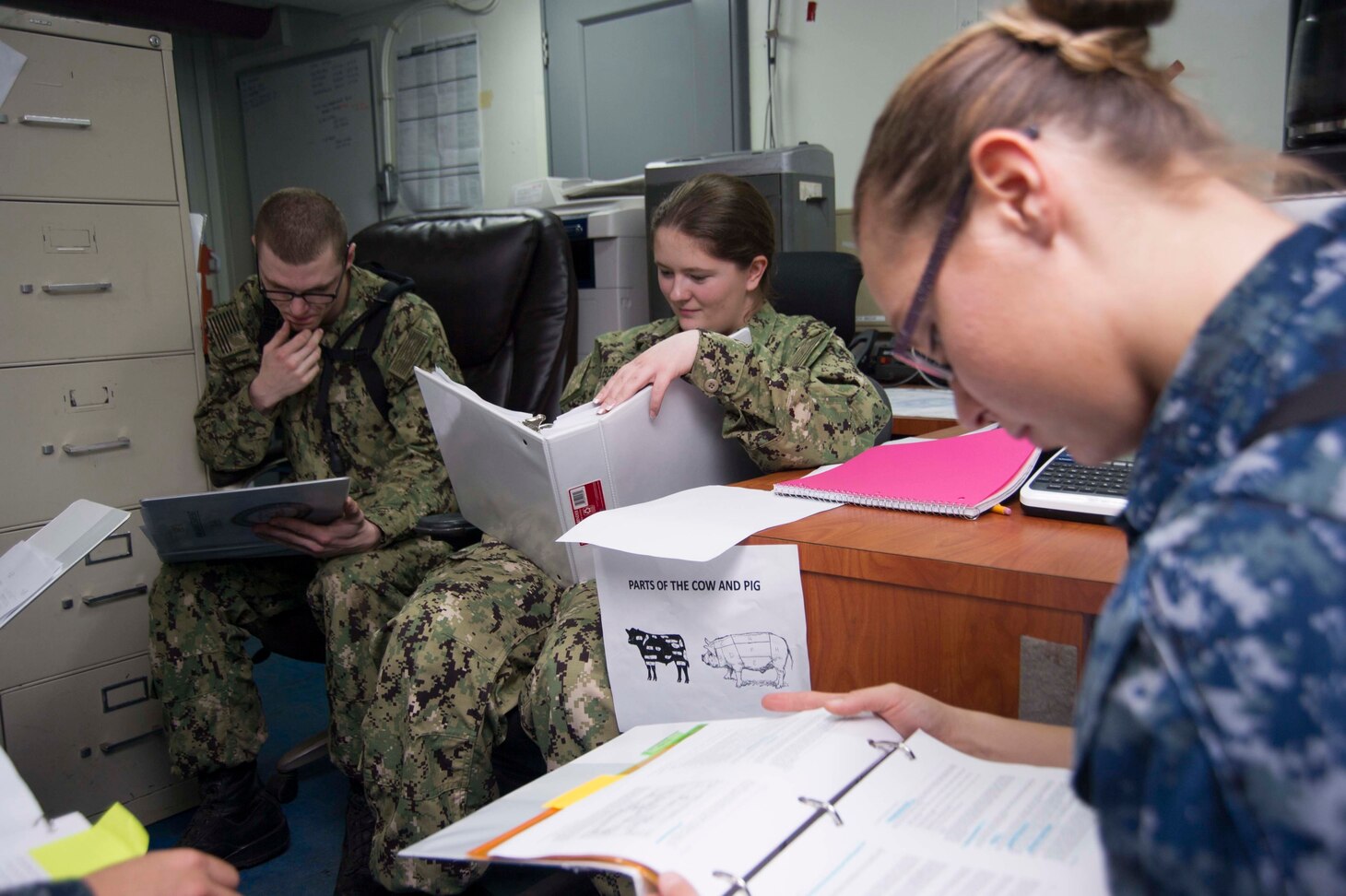 Professional Military Knowledge Transitions to Stand-Alone Electronic ...