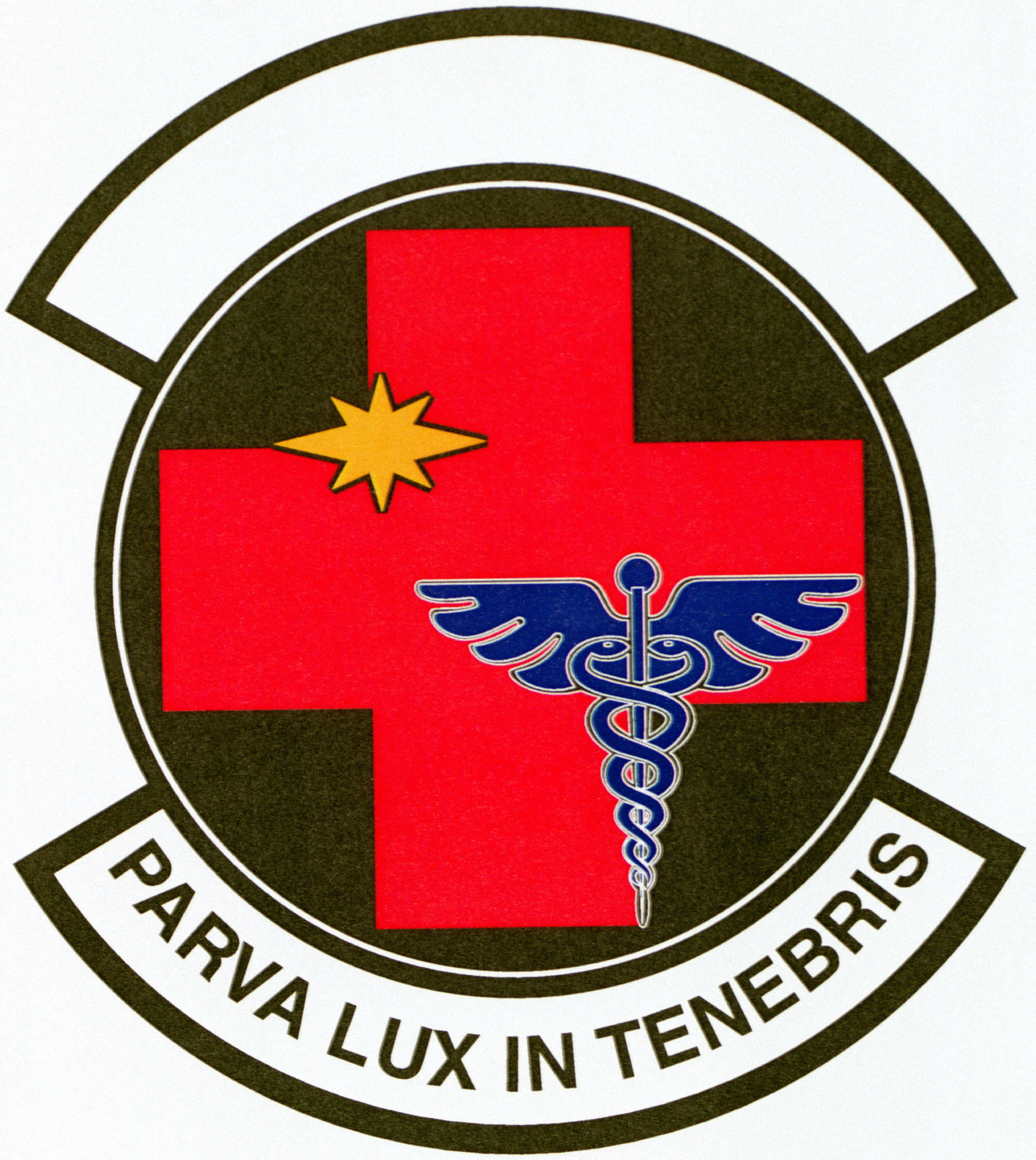 914th Aeromedical Evacuation Squadron (914 AES)